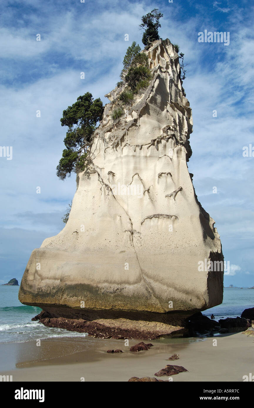 limestone rock in Cathedral Cove on Coromandel Peninsula New Zealand ...