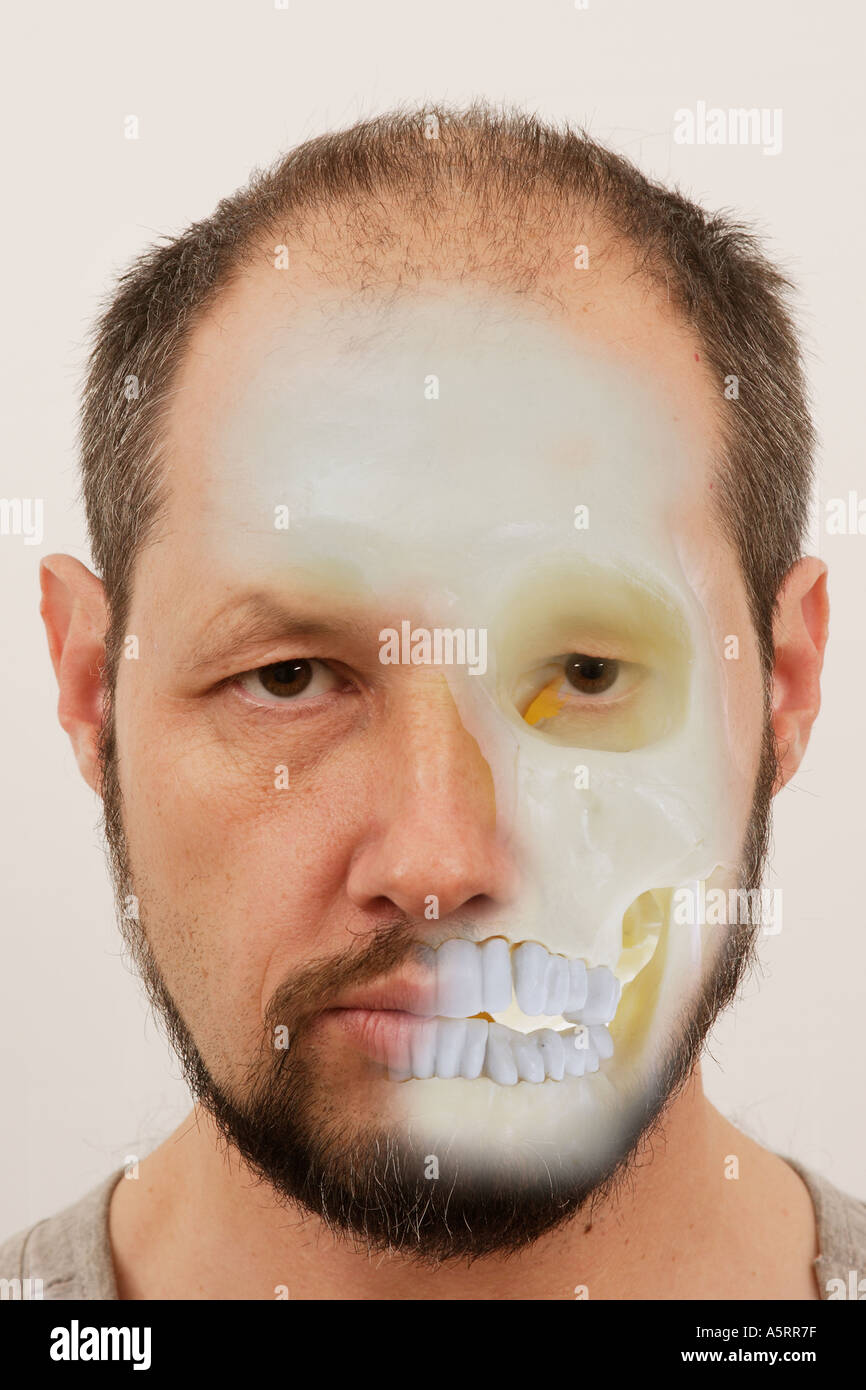 Mounting head hi-res stock photography and images - Alamy