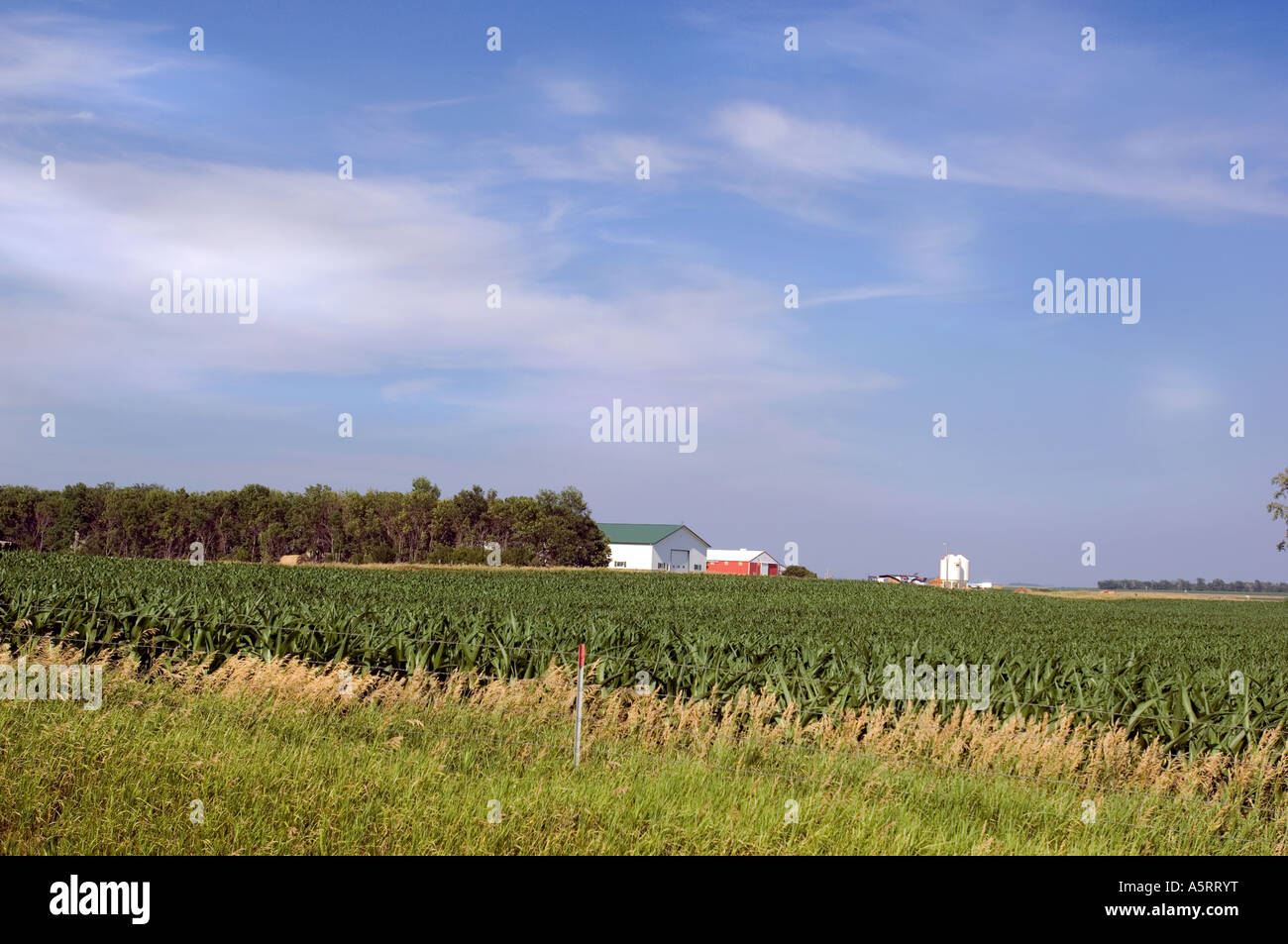 Farm scene in south central South Dakota showing corn field and prairie ...