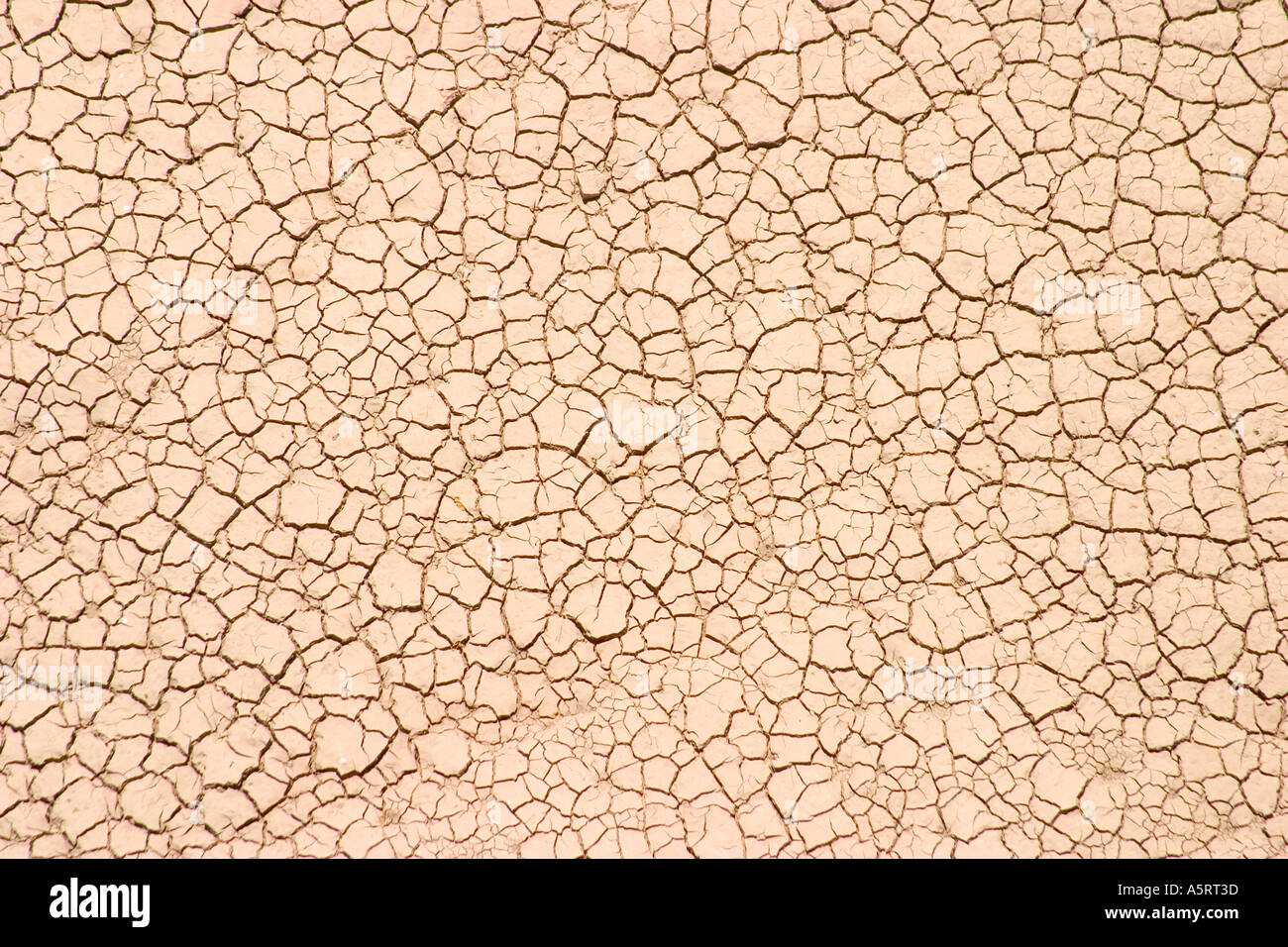 Cracked, parched land during drought Stock Photo - Alamy