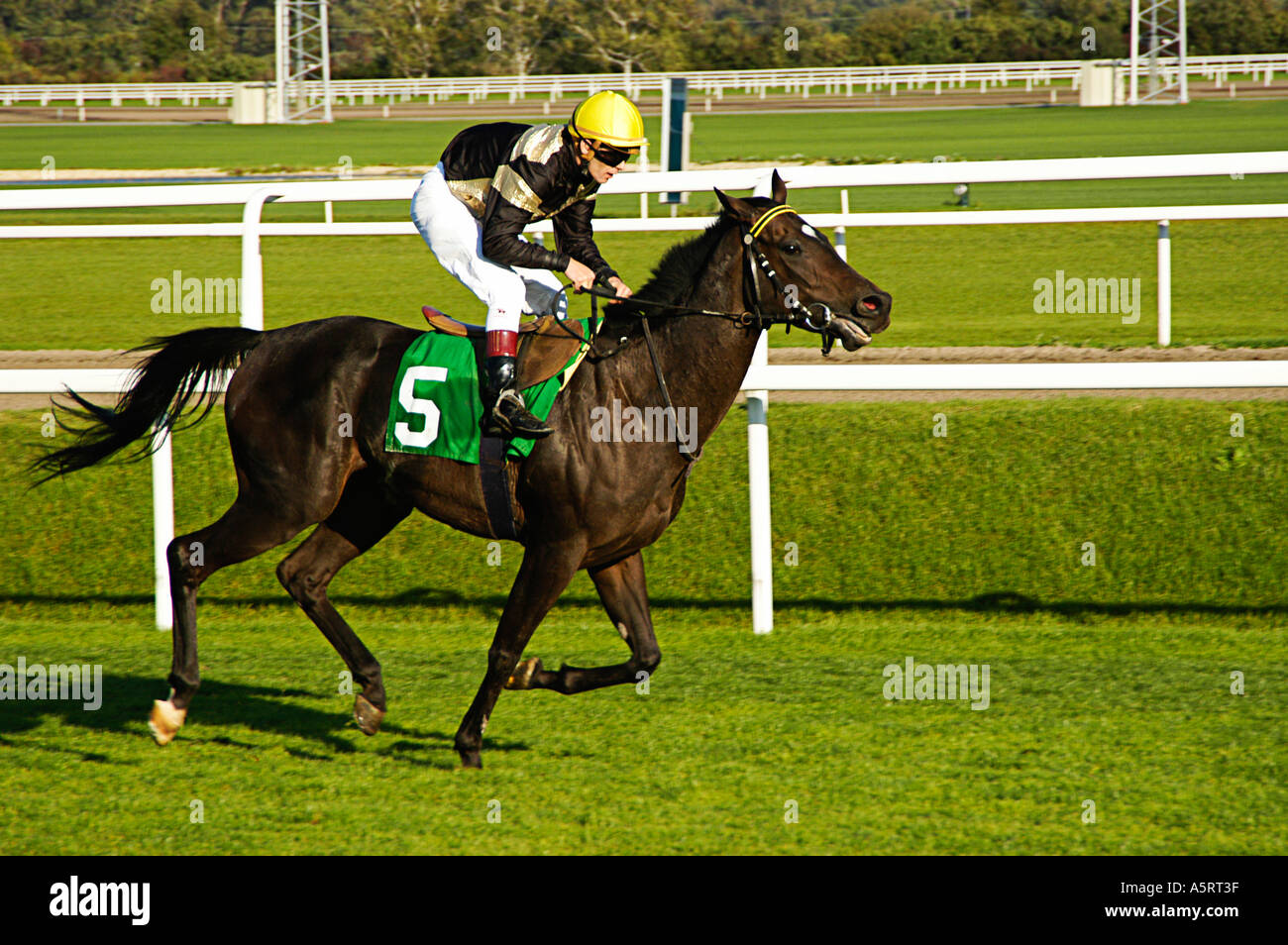 Horse and jockey hi-res stock photography and images - Alamy
