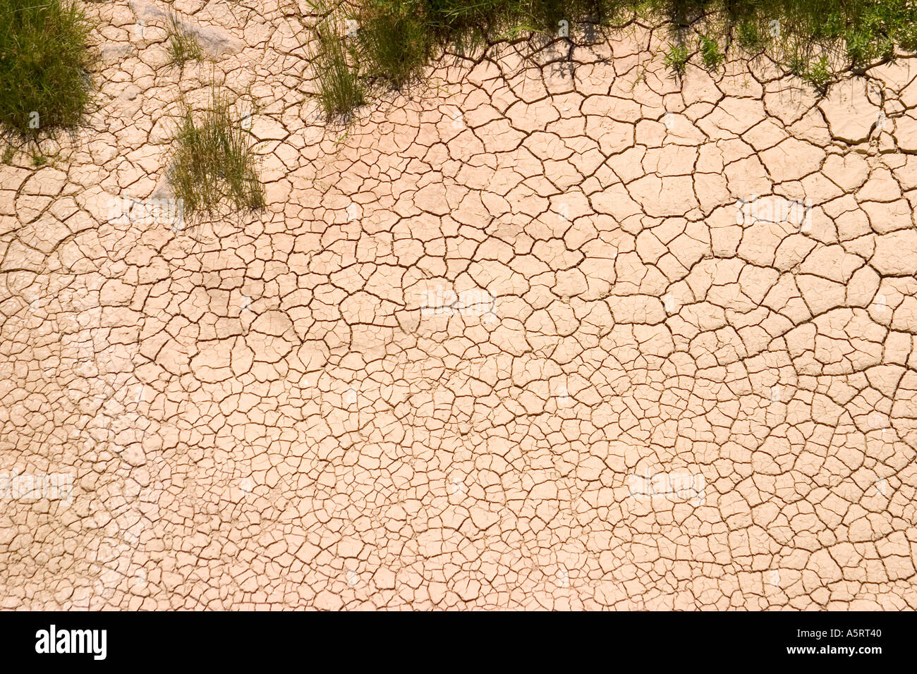 Cracked arid land in hi-res stock photography and images - Alamy