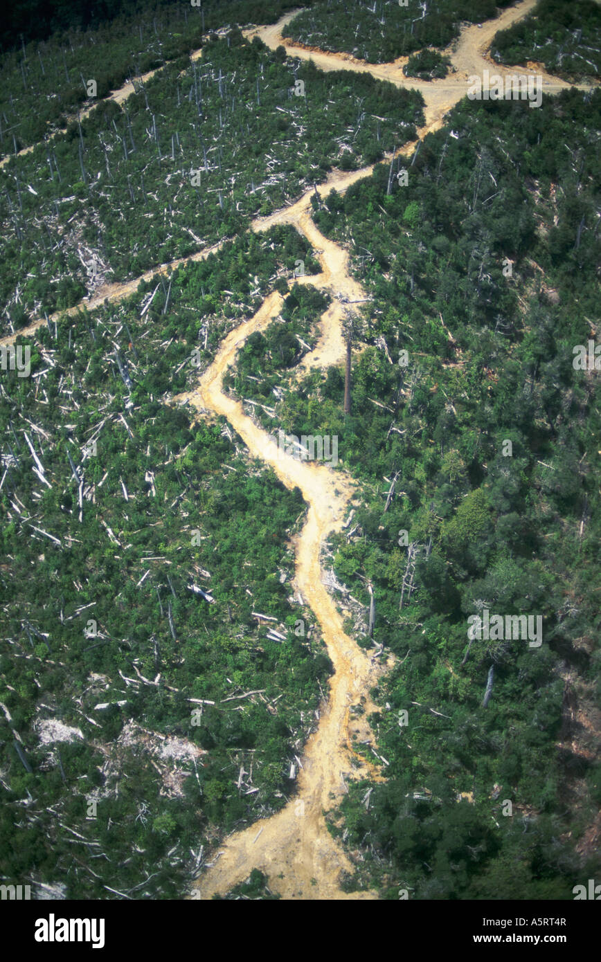 Forest clear cutting aerial view hi-res stock photography and images ...
