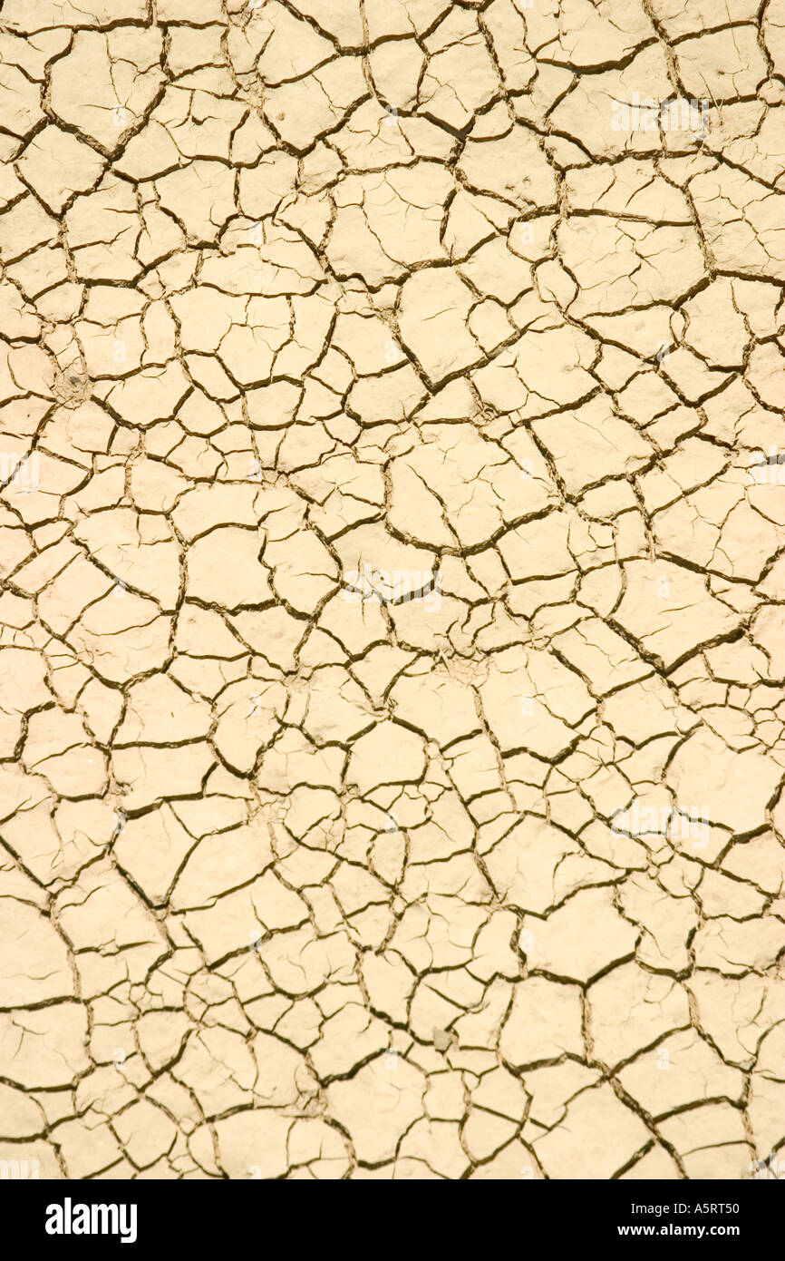 Parched land hi-res stock photography and images - Alamy