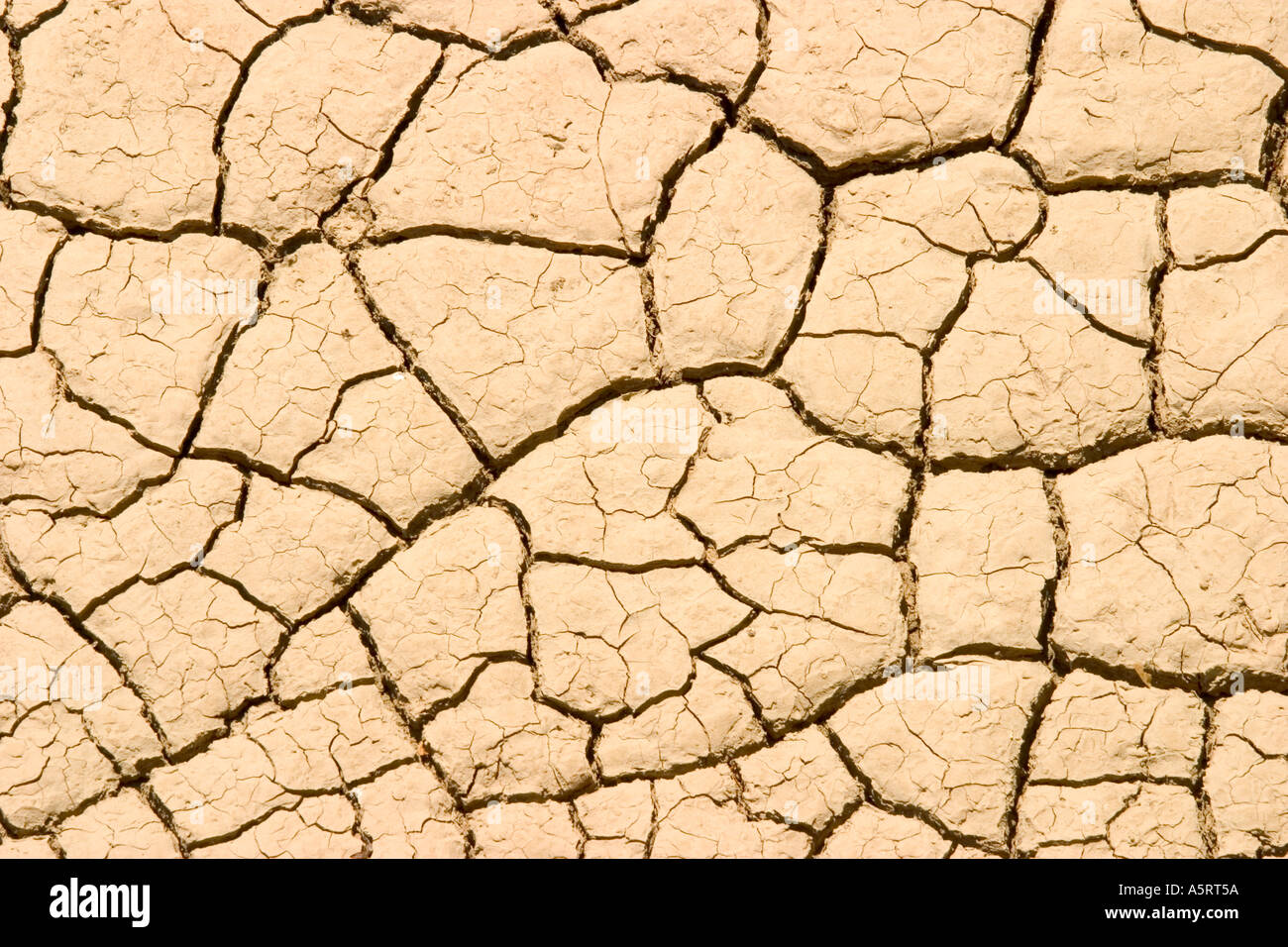 Parched land hi-res stock photography and images - Alamy