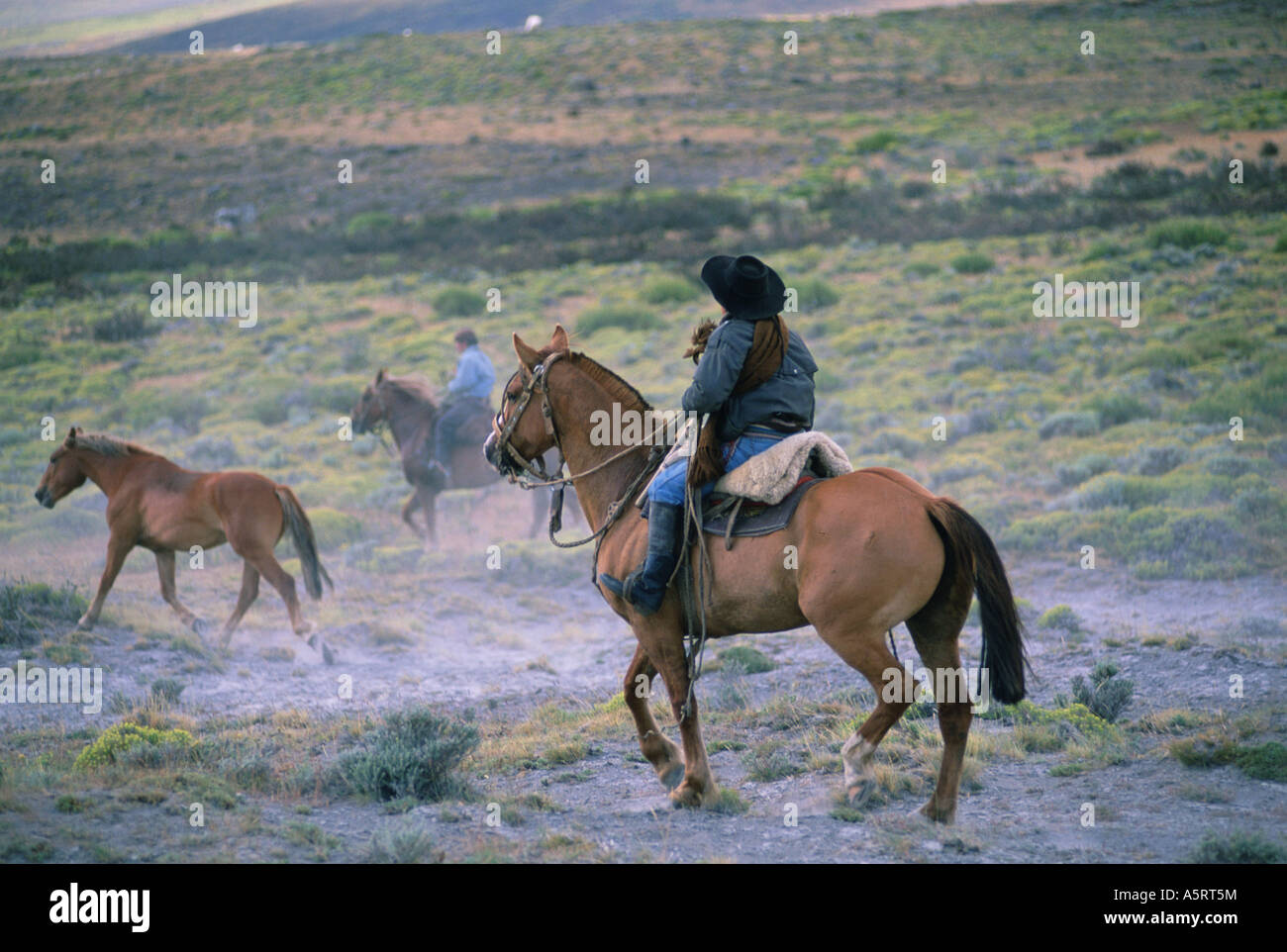 Gauchos beneath Torres del Paine Patagonia Chile Stock Photo - Alamy