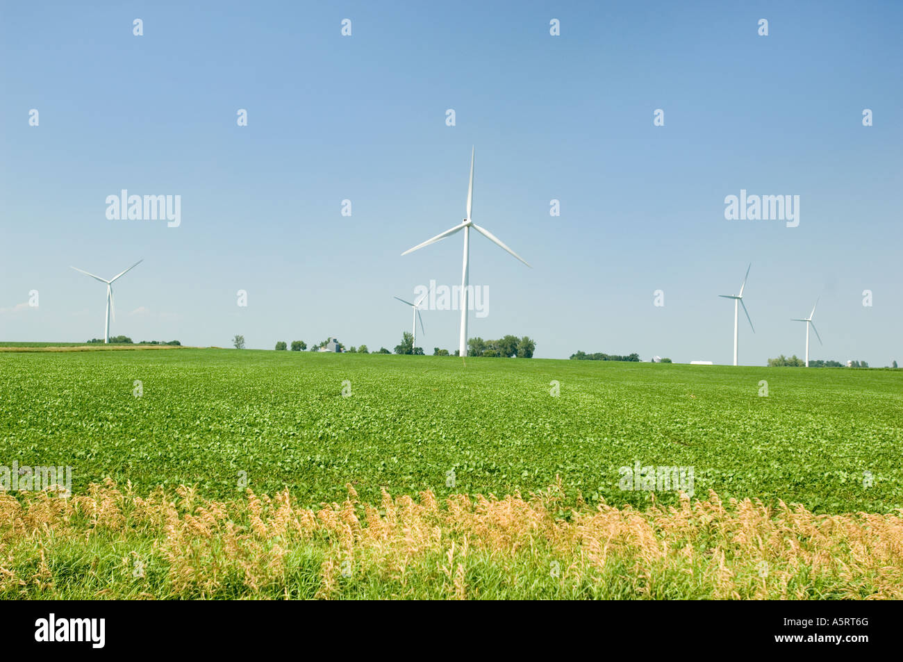 Windmills in western Minnesota Stock Photo - Alamy