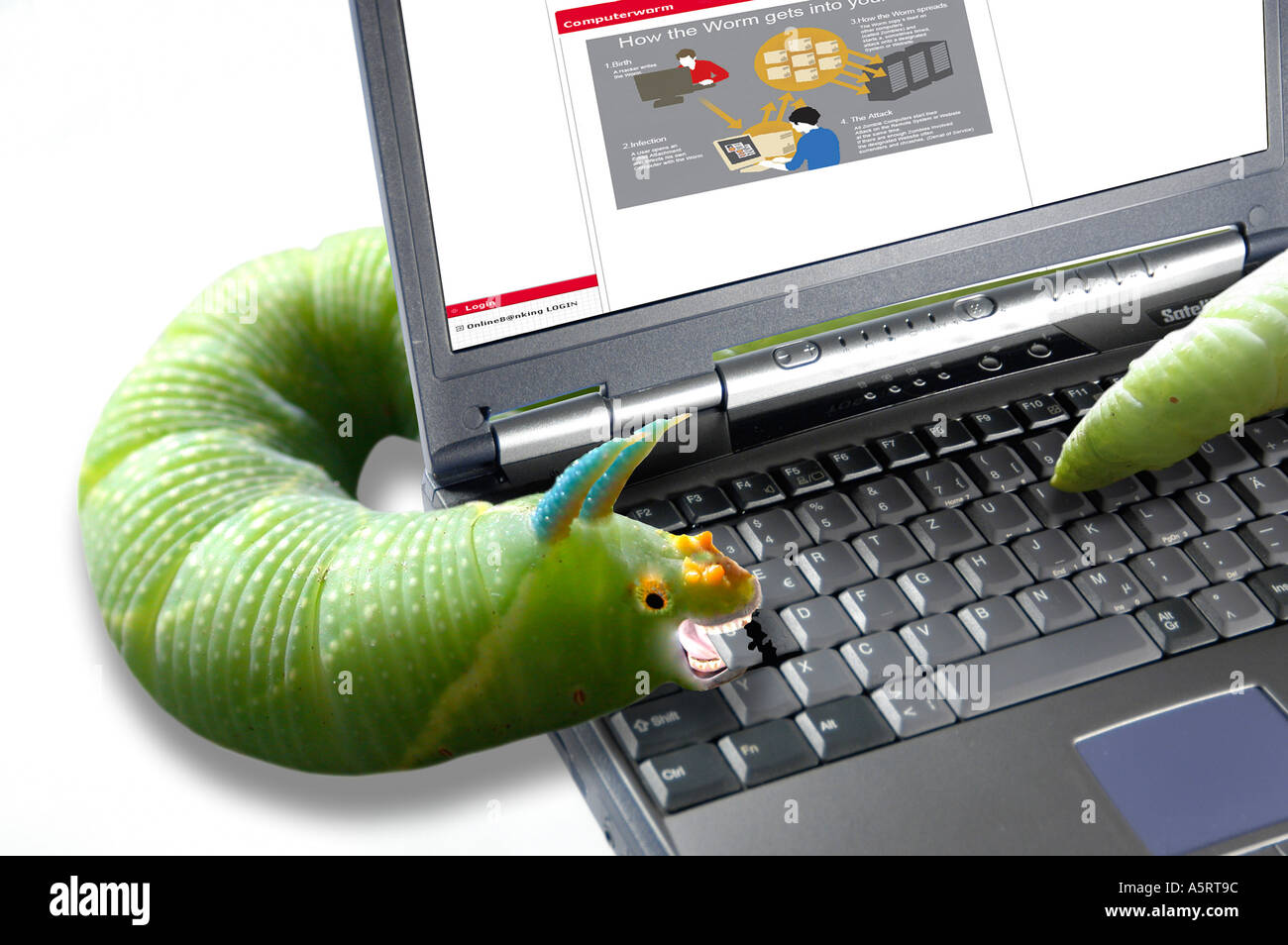 Computerworm hi-res stock photography and images - Alamy