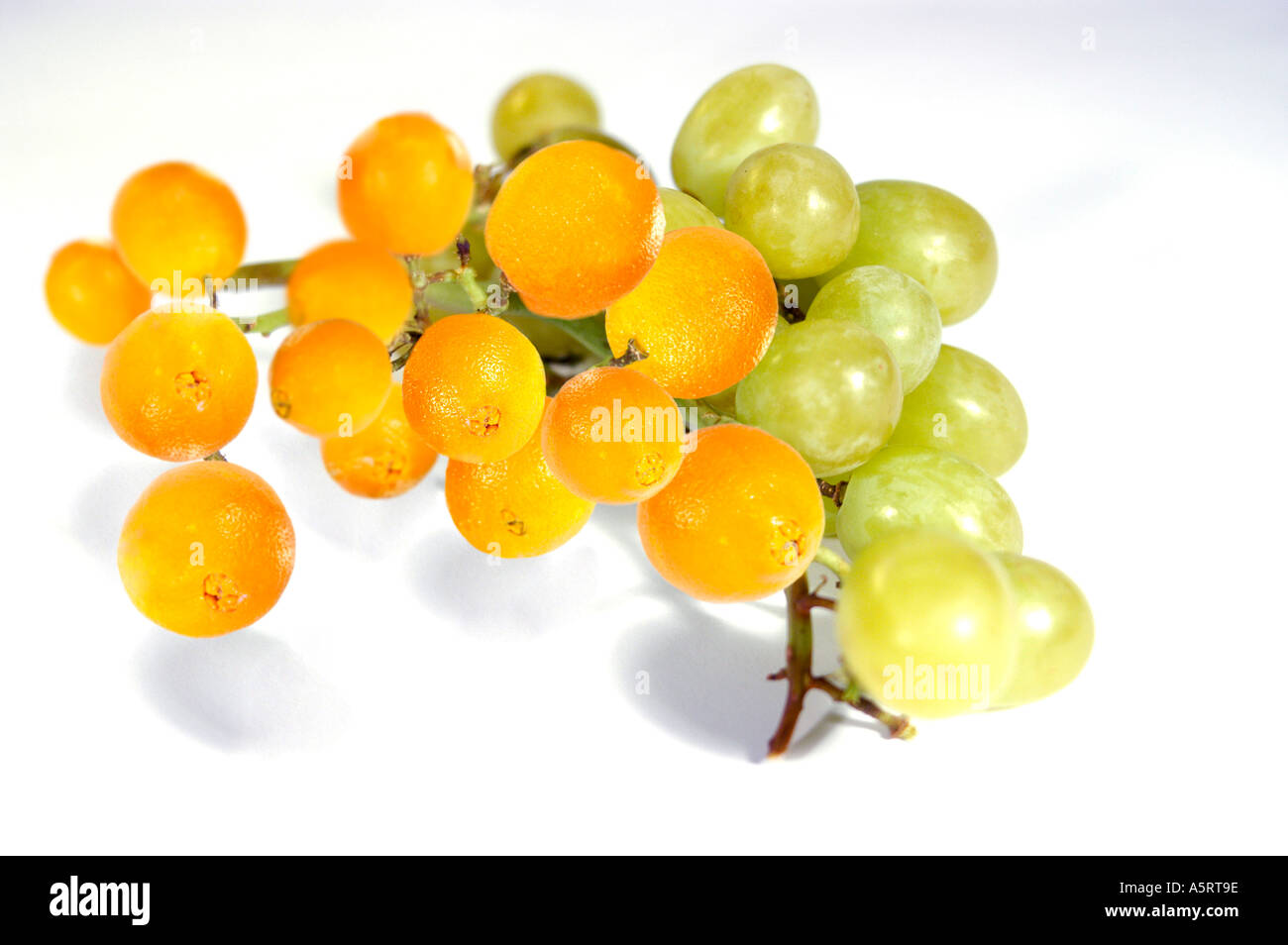 Orange and Grape Hybrid Stock Photo - Alamy