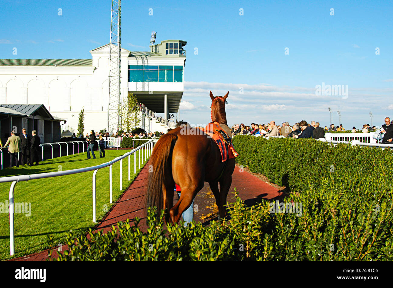 Magna racino hi-res stock photography and images - Alamy