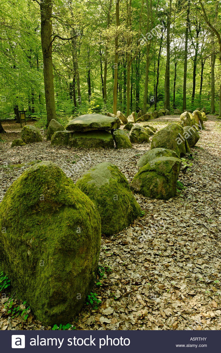 Stone Age Grave High Resolution Stock Photography and Images - Alamy