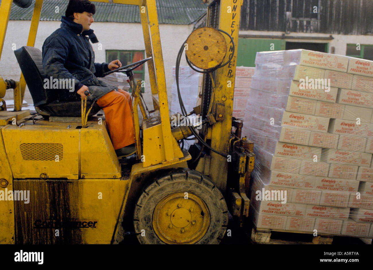 SCOTTISH FISHING VILLAGE A WORKER LOADING BOXES OF PROCESSED FISHES ...