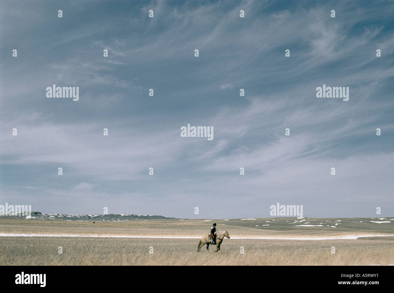 Cowboy smoking with horse hi-res stock photography and images - Alamy