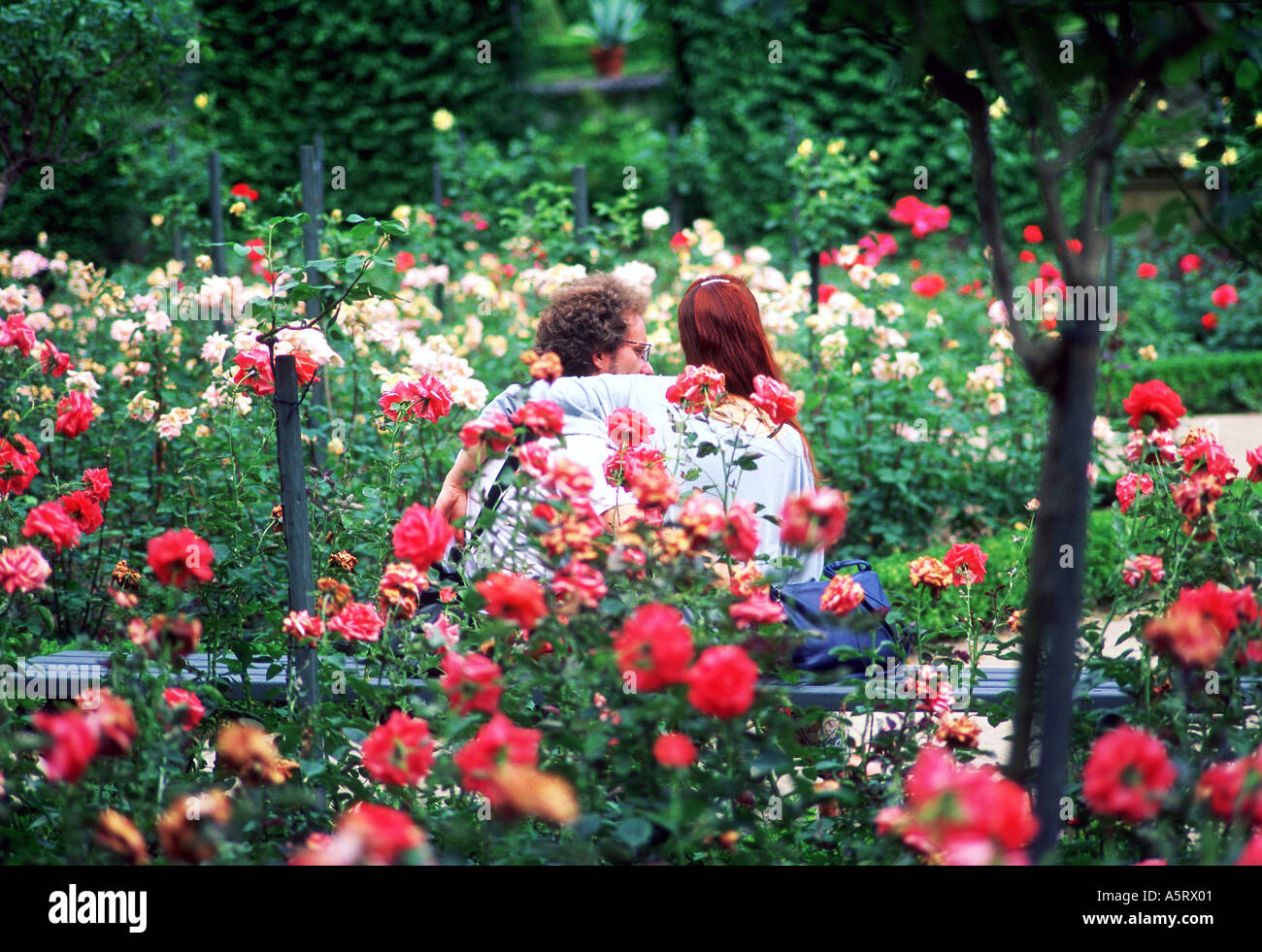 Romantic Couple In Flower Garden