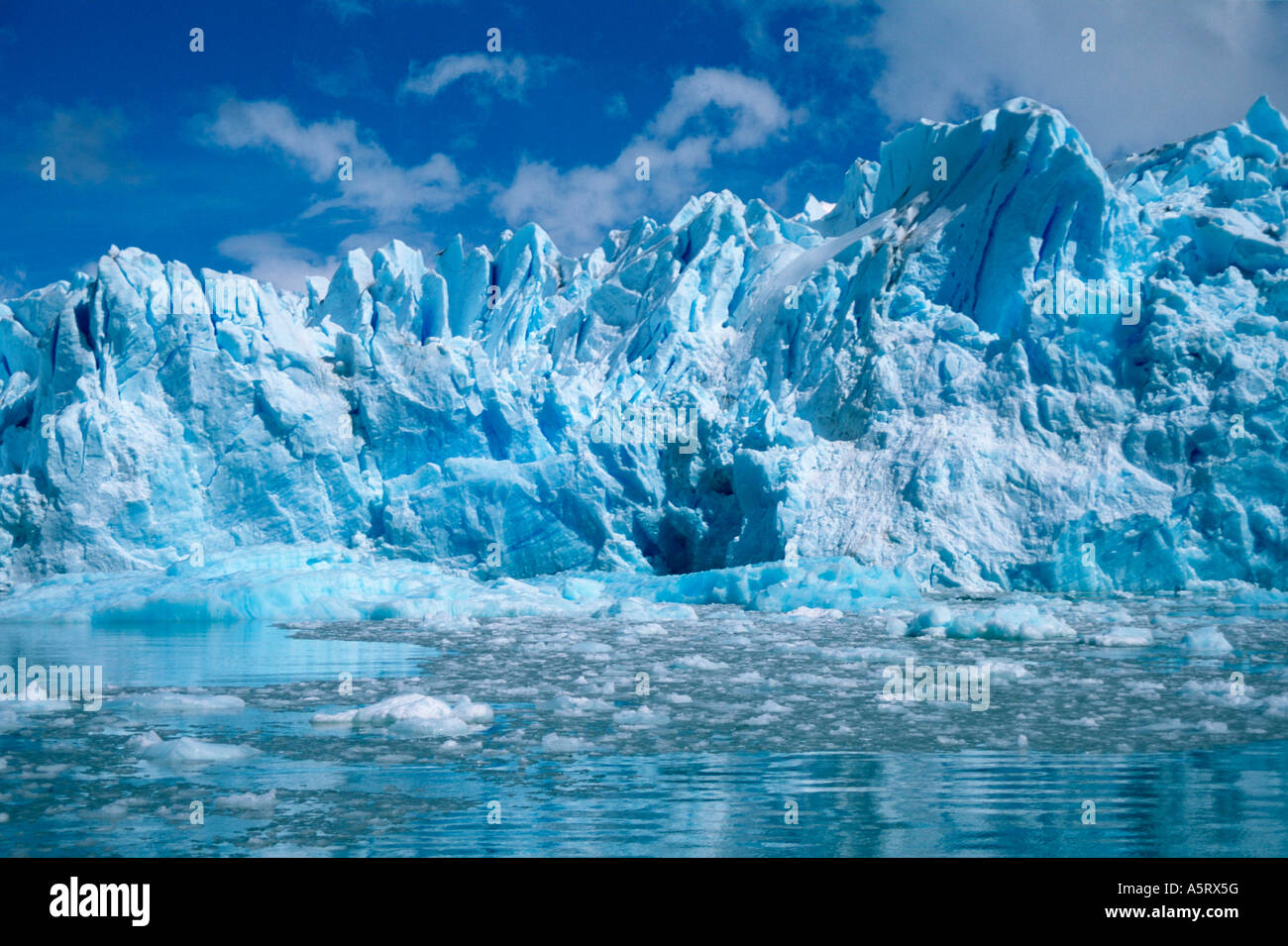 Grey Glacier Stock Photo - Alamy