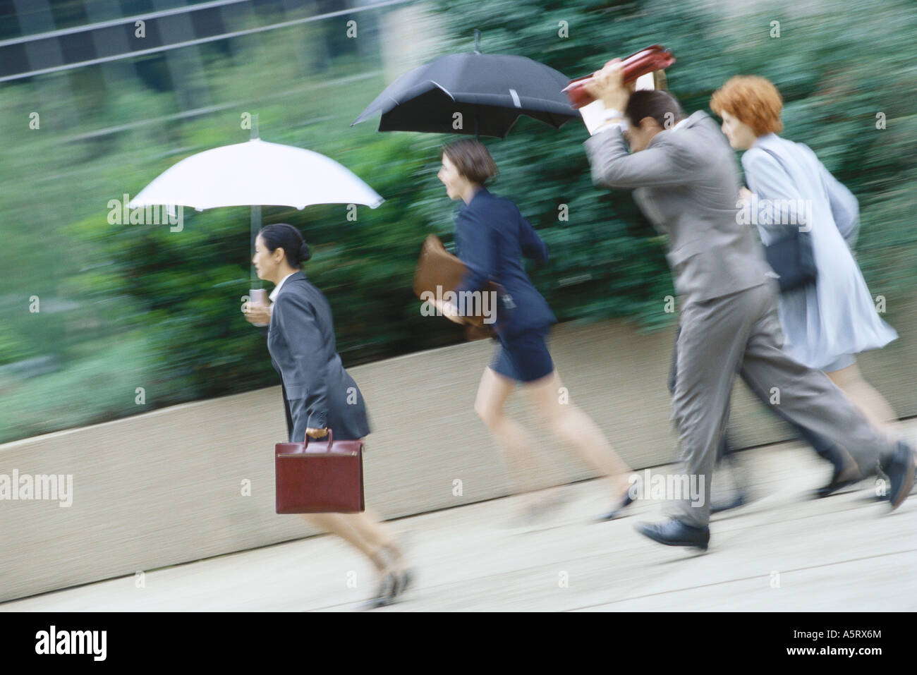 Group of business executives hurrying through rain Stock Photo - Alamy