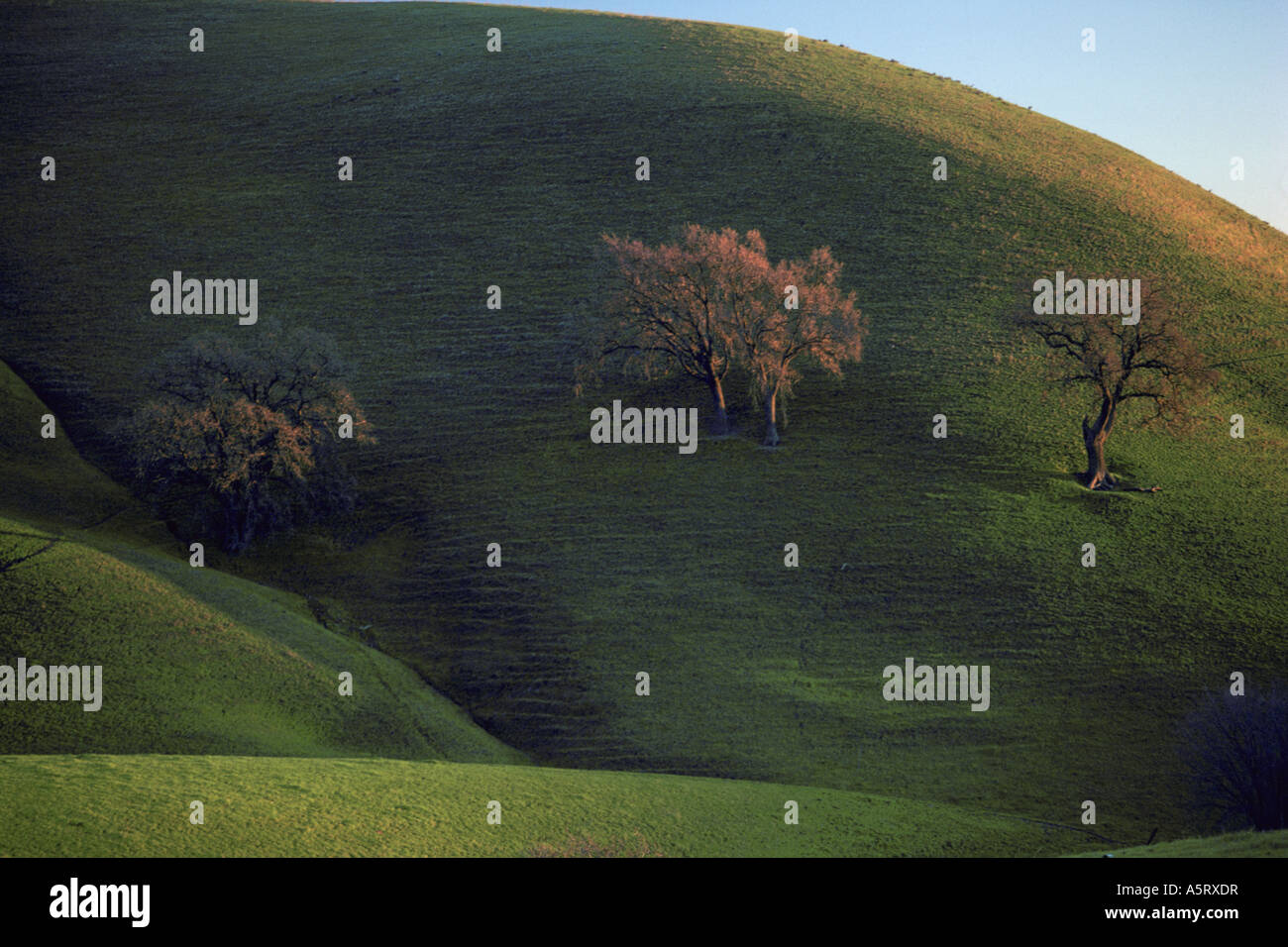 California mt diablo landscapes hi-res stock photography and images - Alamy