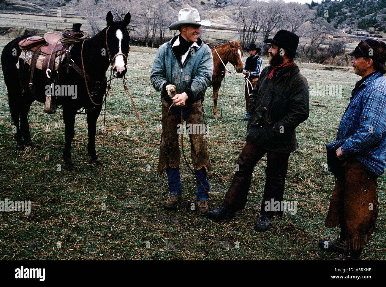 COWBOYS MONTANA USA CATTLE RANCHING THE RANCH HANDS HAVE FINISHED ...
