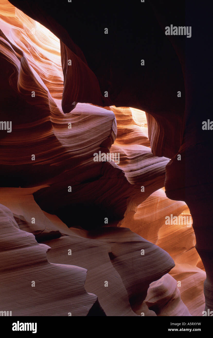 Severe vignetting hi-res stock photography and images - Alamy