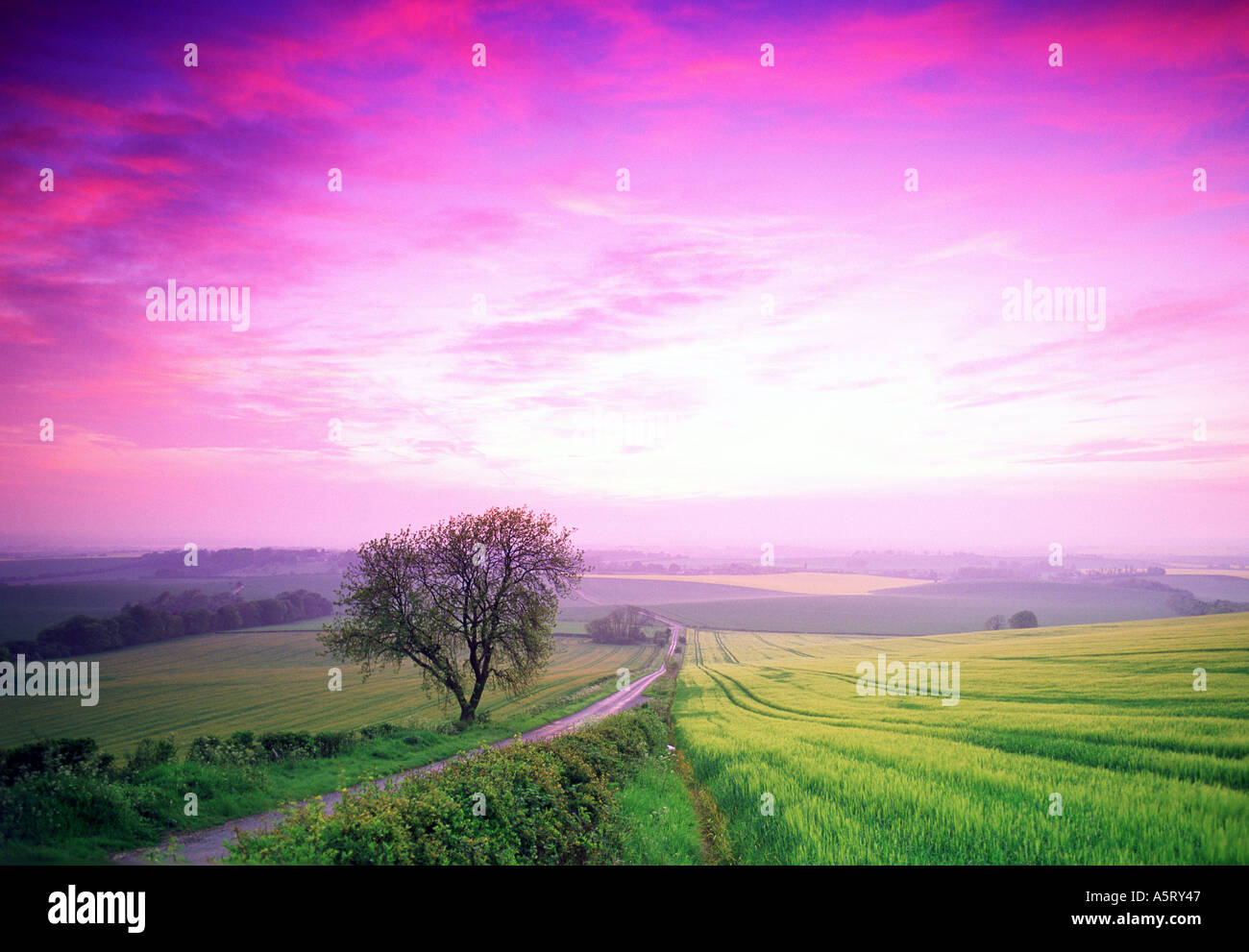 sunset with pink sky Stock Photo - Alamy