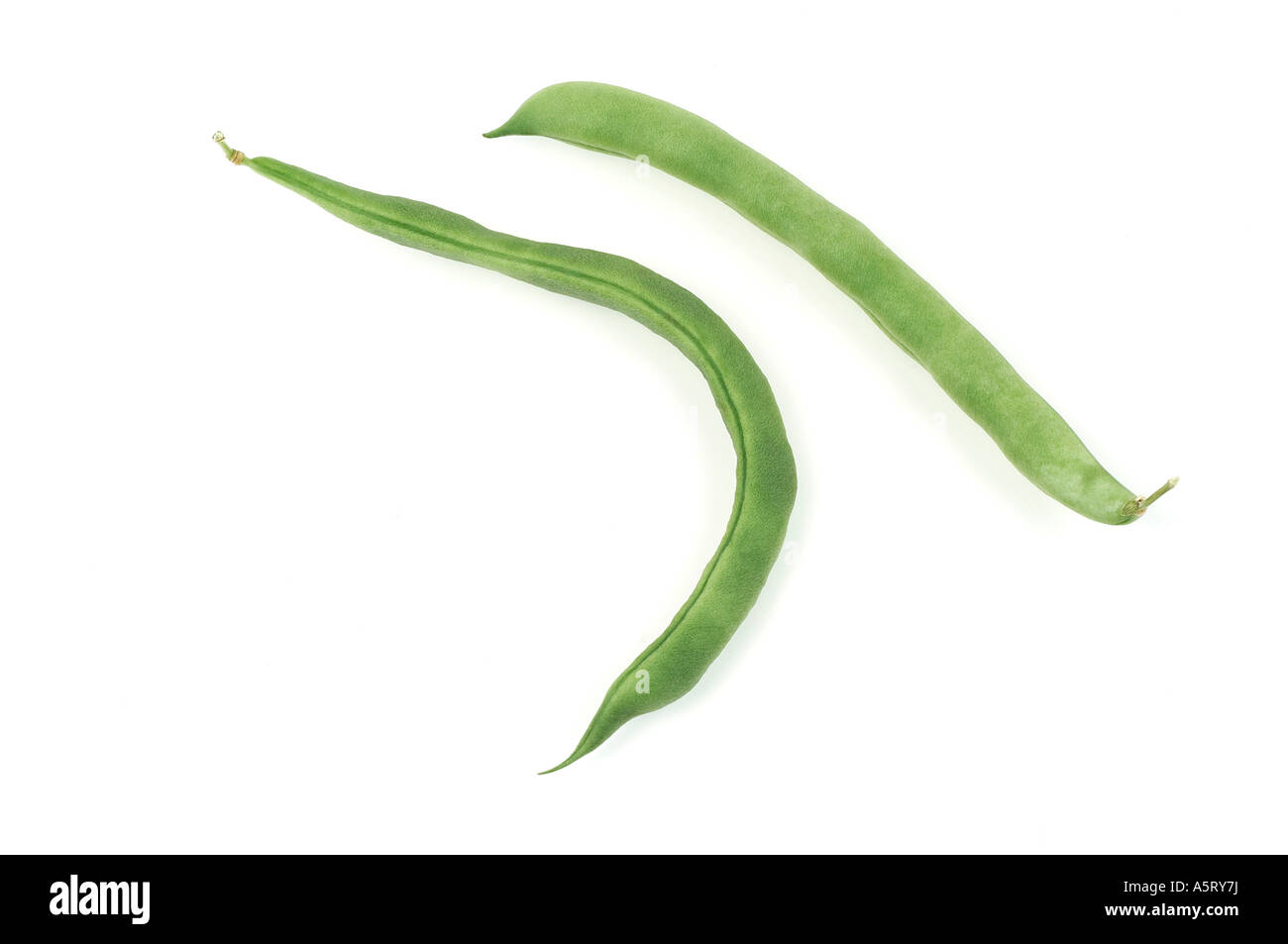 Green beans on white background Stock Photo - Alamy