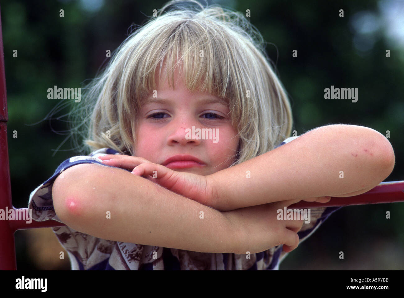 young girl watching intently Stock Photo - Alamy