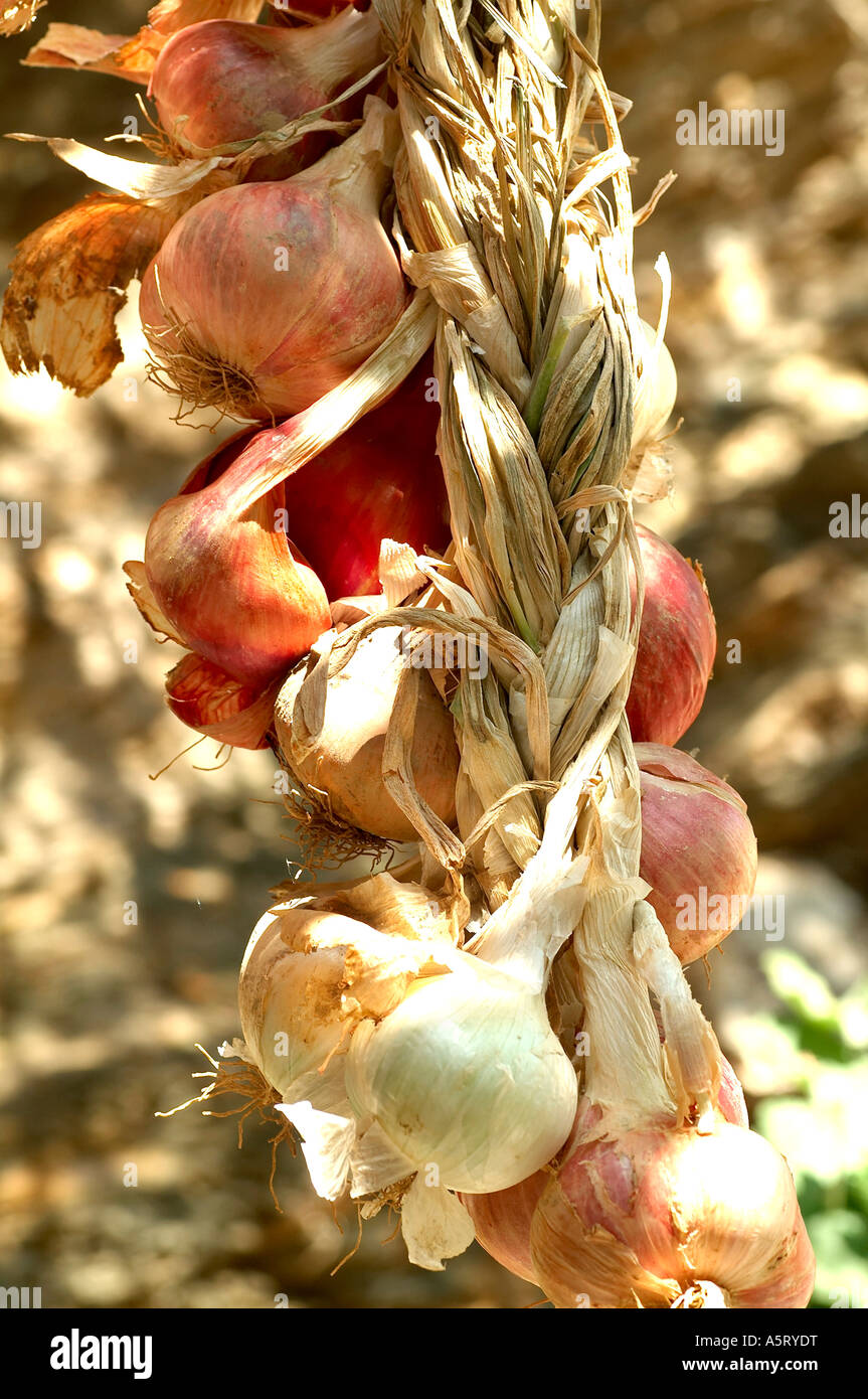 Onion ropes hi-res stock photography and images - Alamy