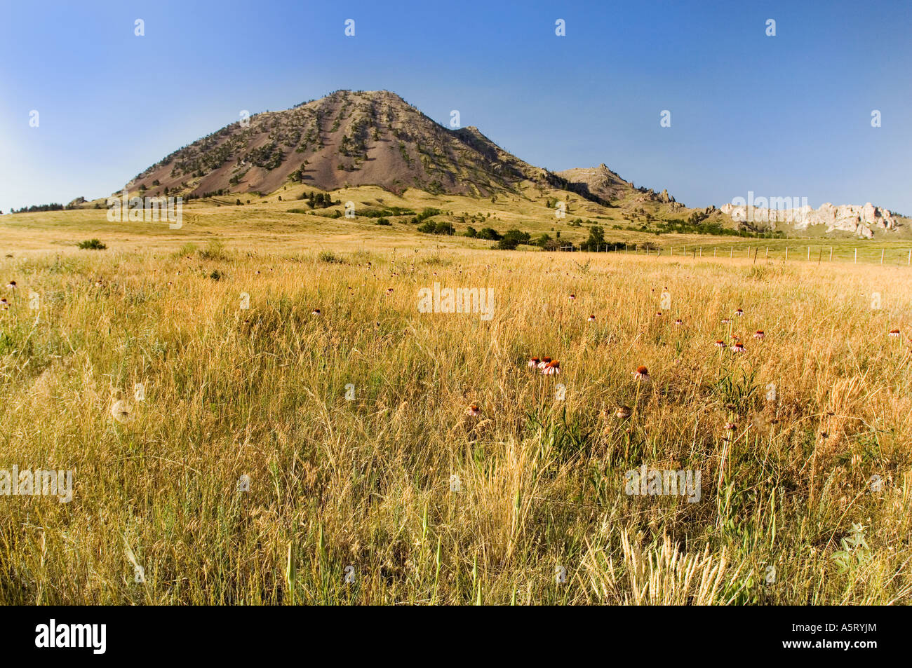 The butte in Bear Butte State Park near Sturgis SD Stock Photo - Alamy