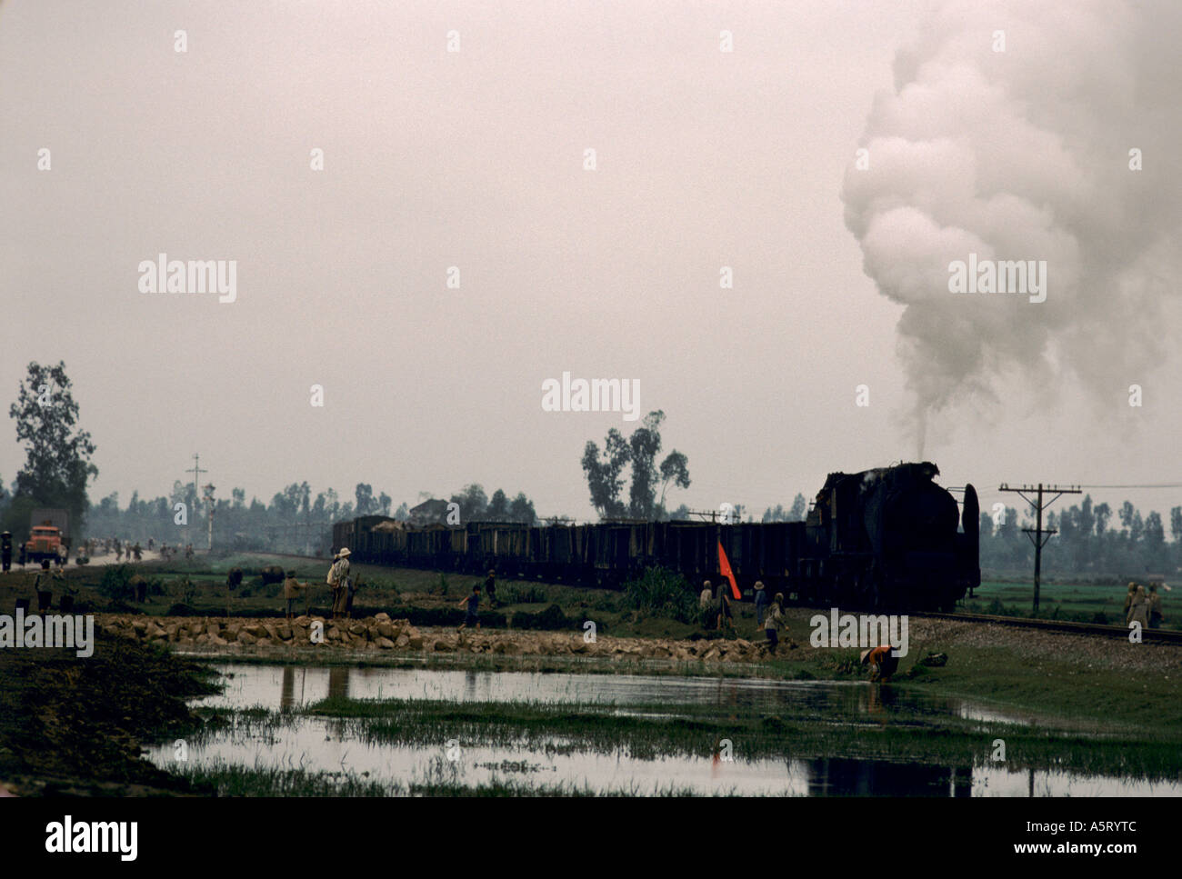 Train hanoi rice fields hi-res stock photography and images - Alamy
