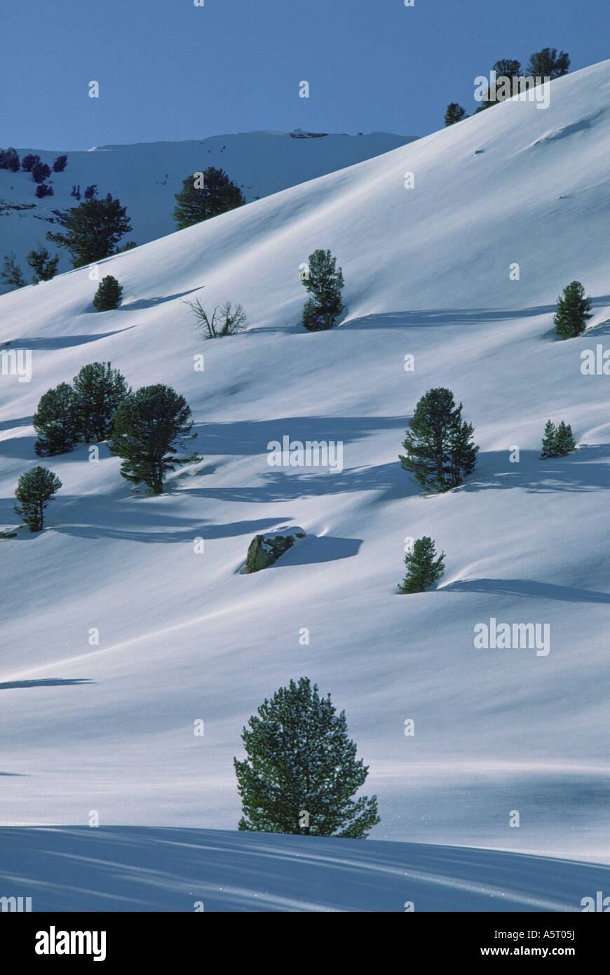 Ruby mountain nevada hi-res stock photography and images - Alamy