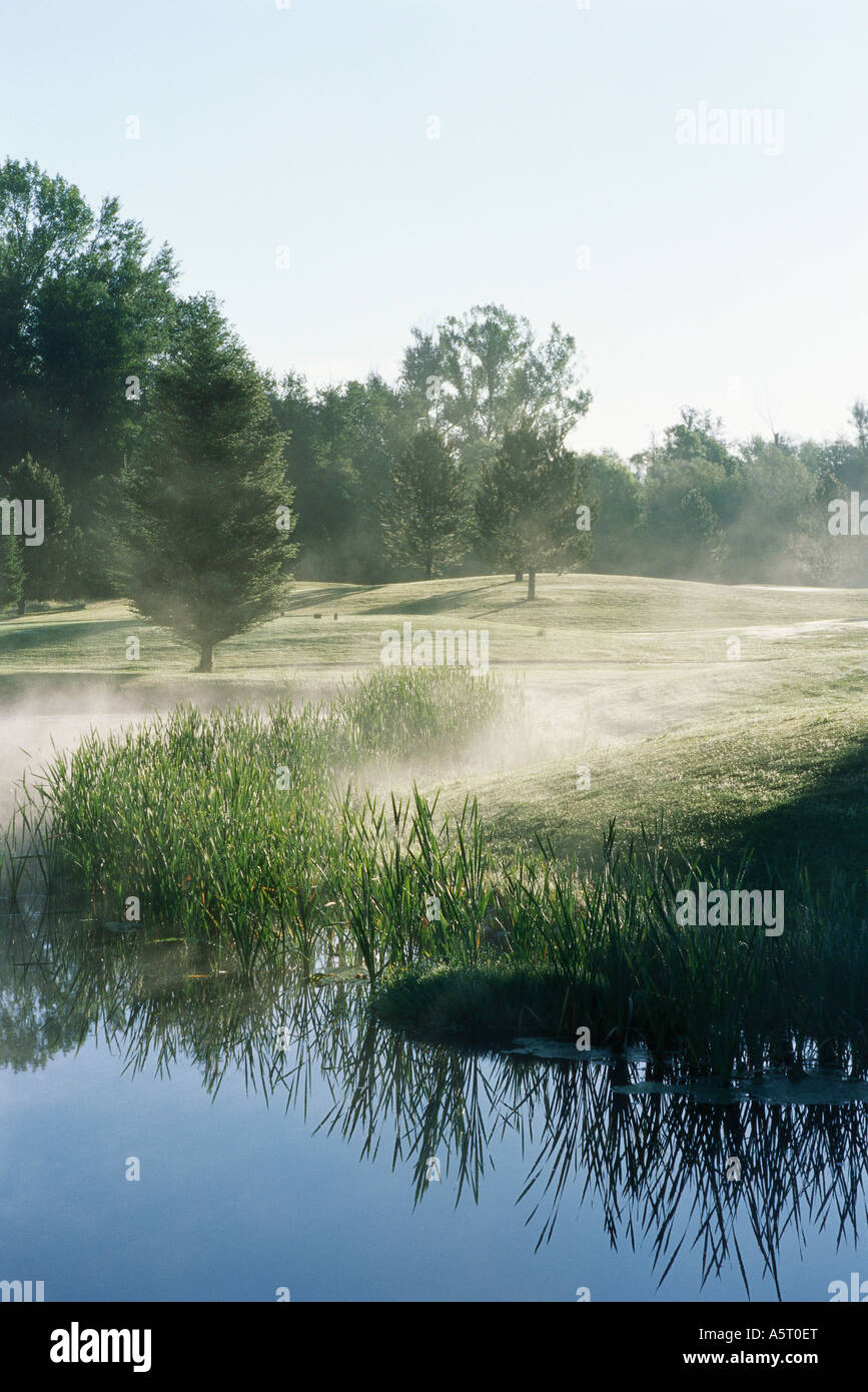 Misty golf course Stock Photo - Alamy