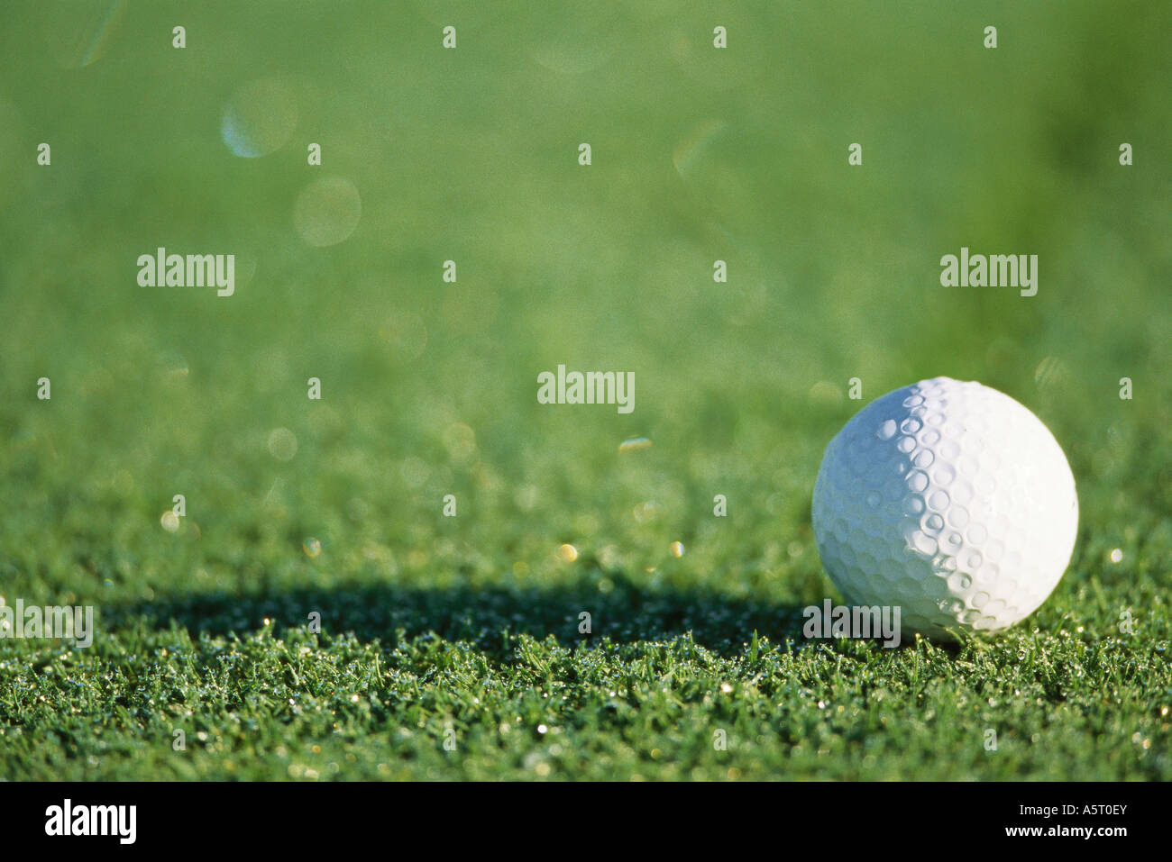 Golf ball on turf Stock Photo - Alamy