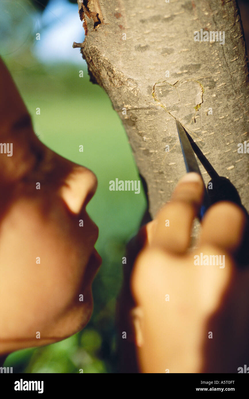 Girl carving heart on tree trunk, close-up Stock Photo - Alamy