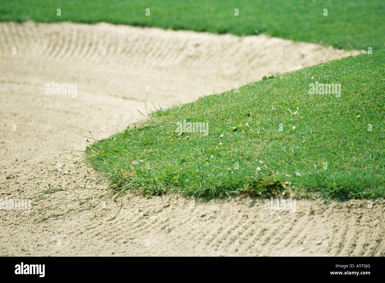 Sand trap, close-up Stock Photo - Alamy