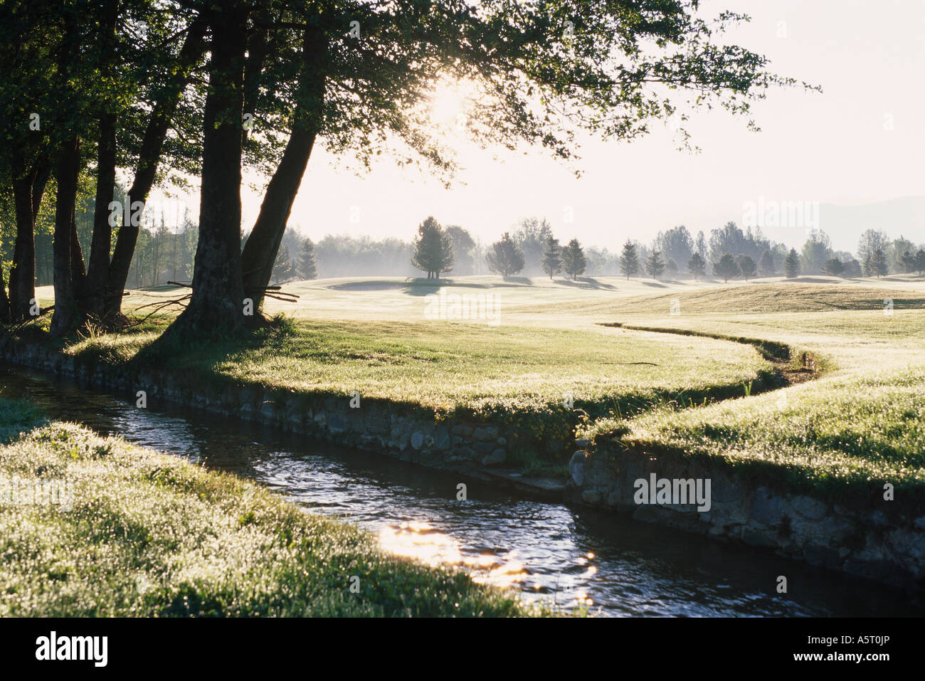 Golf course streams hi-res stock photography and images - Alamy