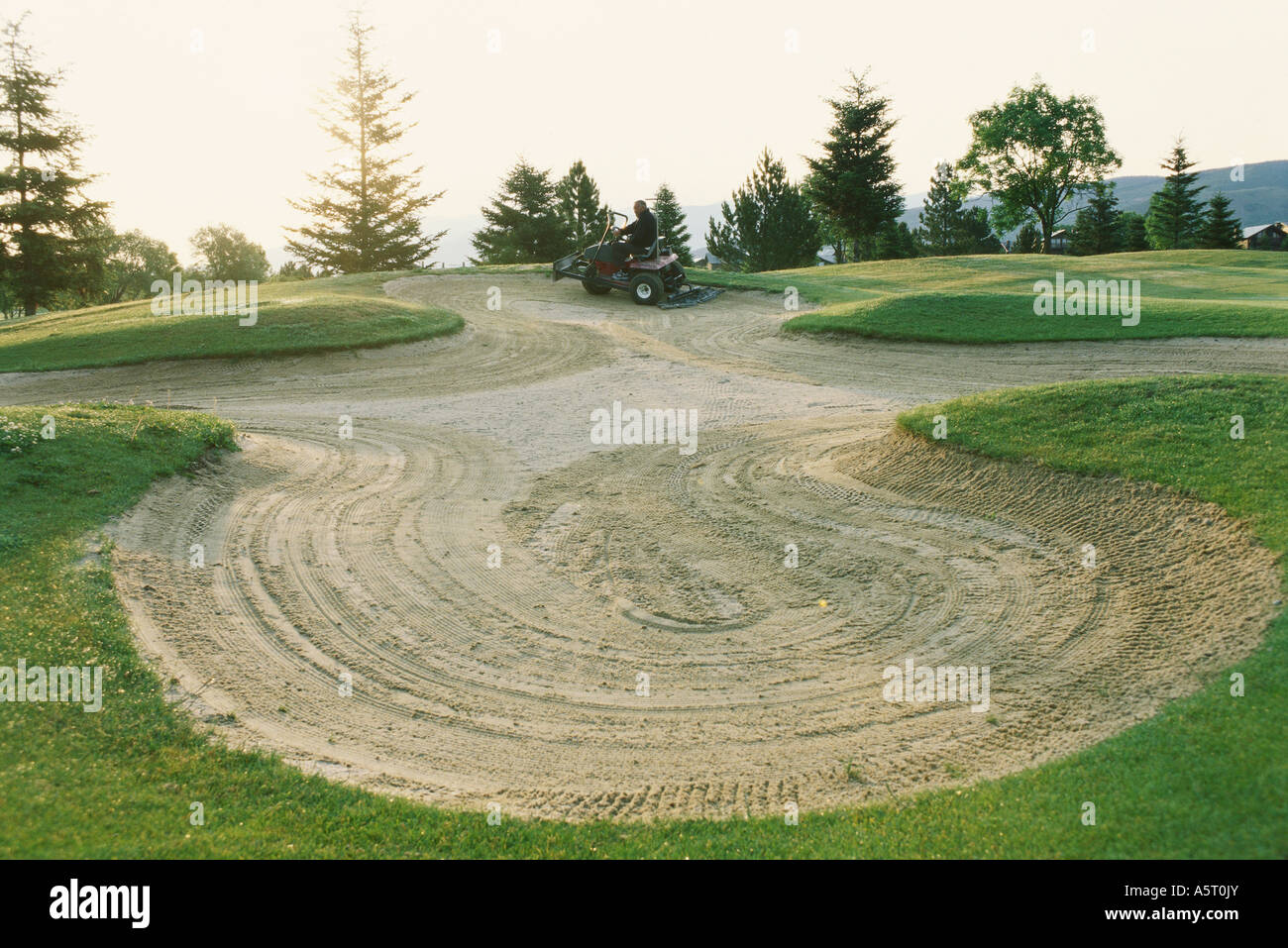Groundskeeper driving bunker rake on sand trap Stock Photo - Alamy