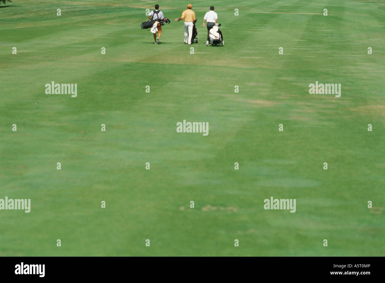 Golfers walking across golf course, rear view Stock Photo - Alamy
