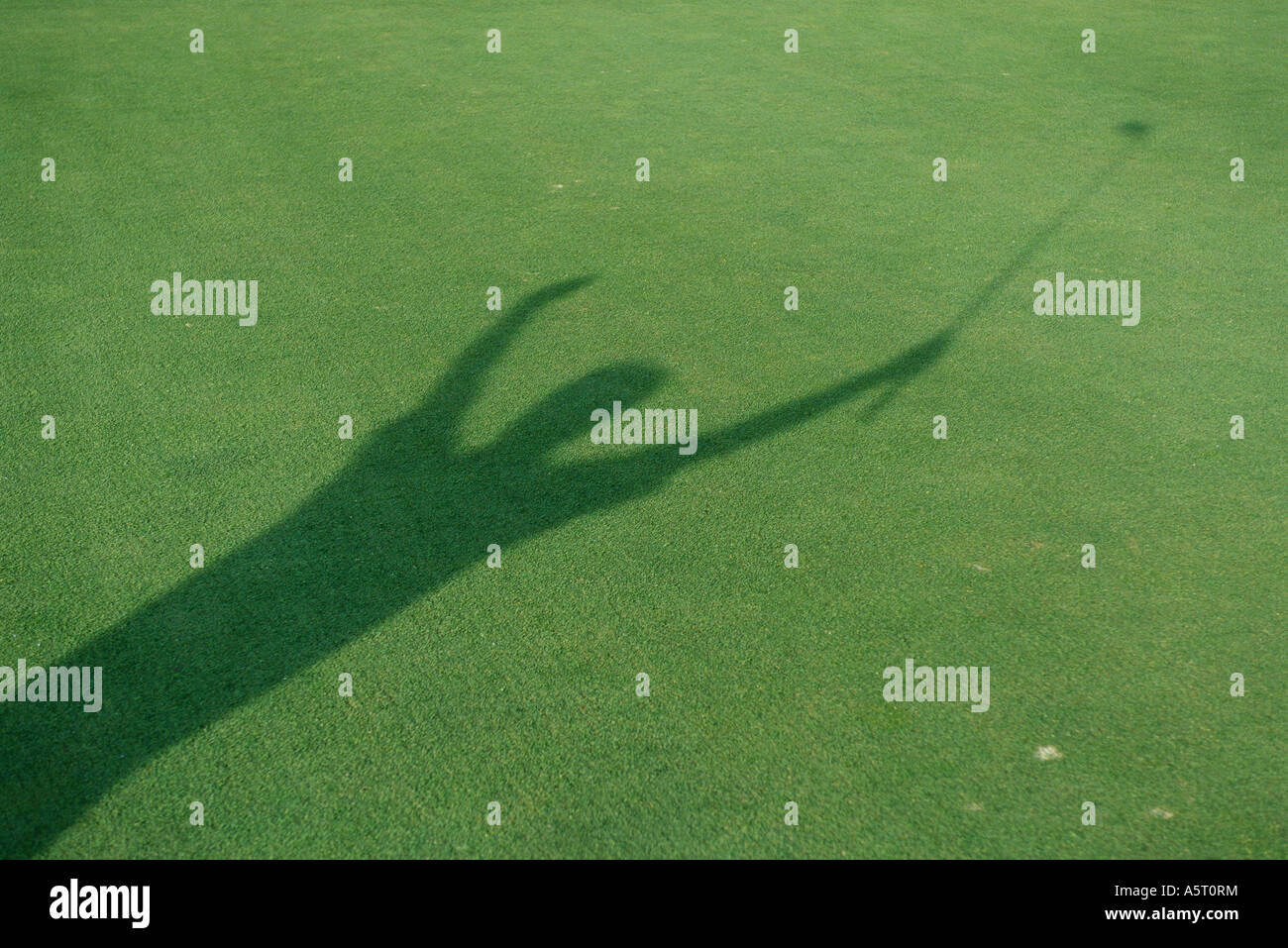 Shadow of golfer raising arms Stock Photo - Alamy