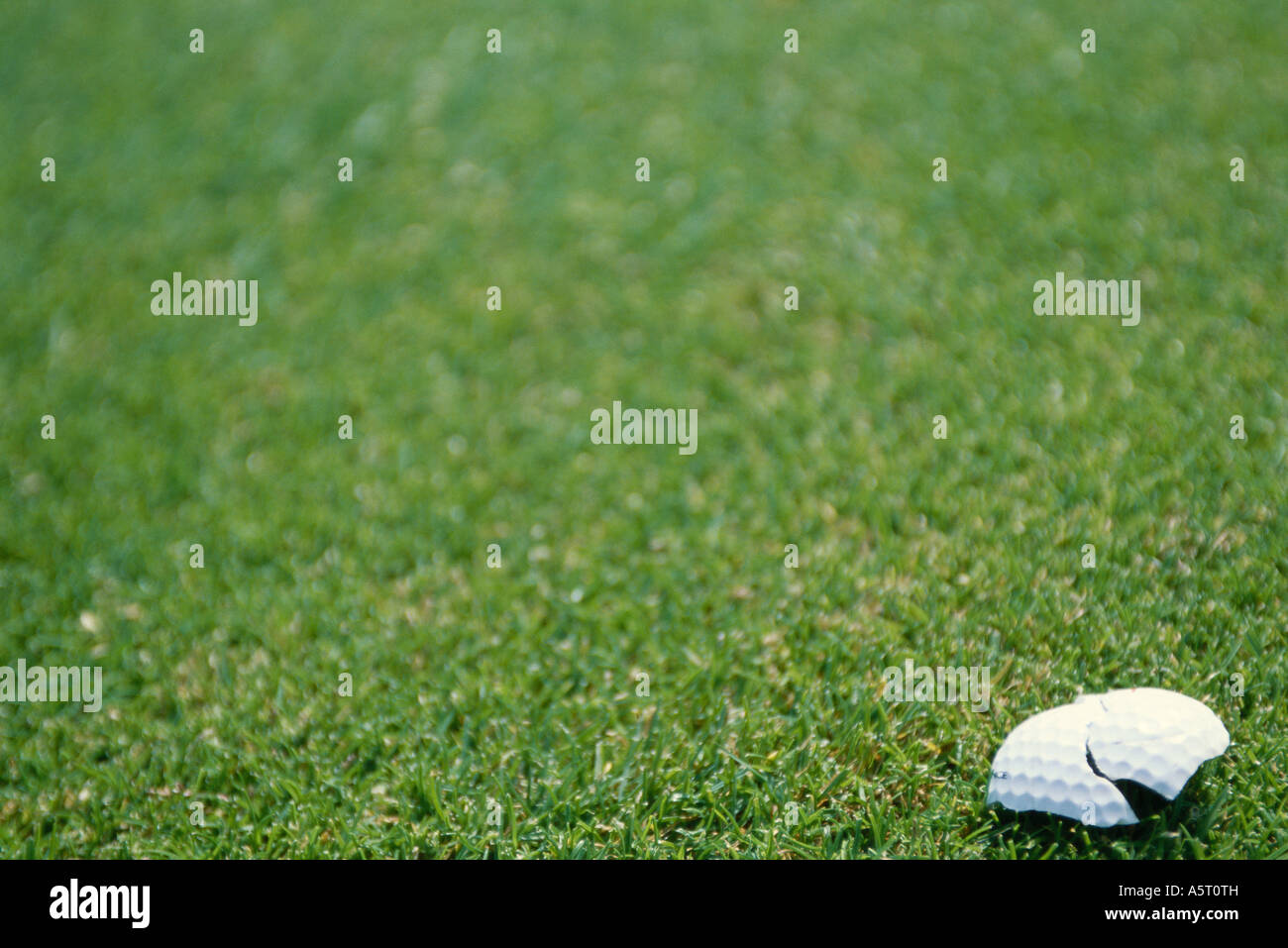 Squashed grass hi-res stock photography and images - Alamy
