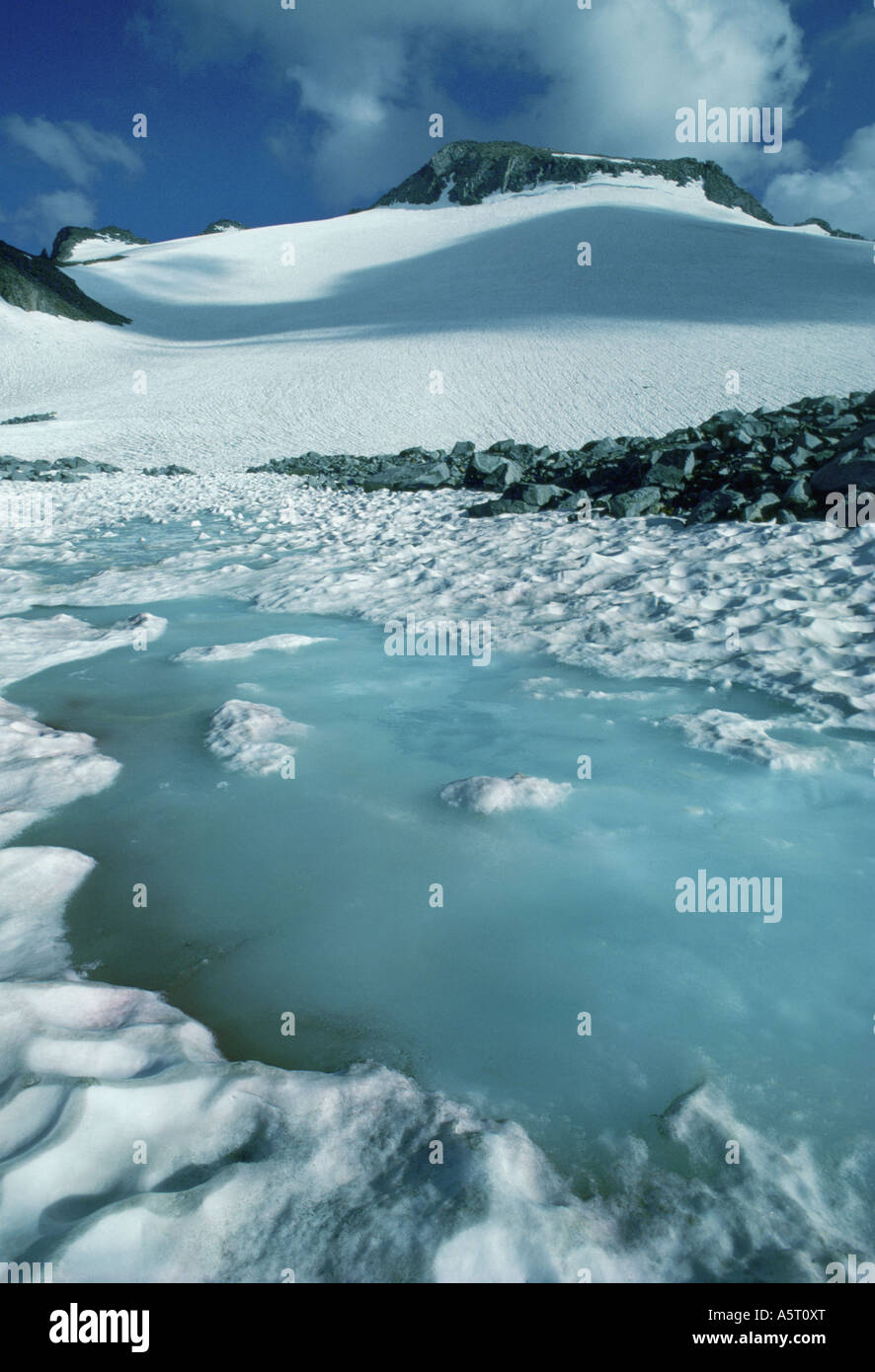 Lyell glacier hi-res stock photography and images - Alamy