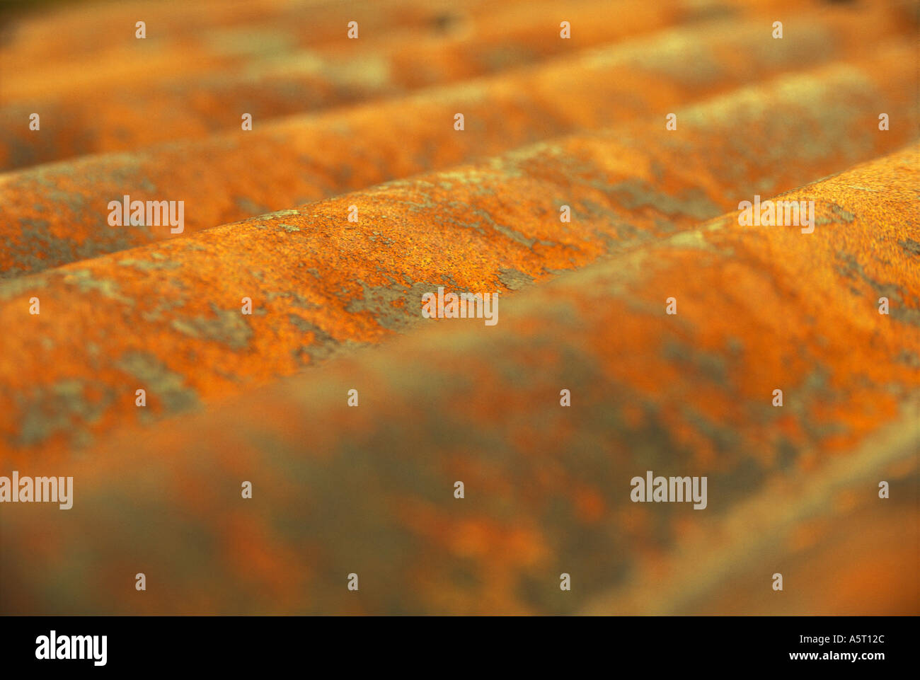 Rust patterns on roof panel crag force mine coledale valley braithwaite ...