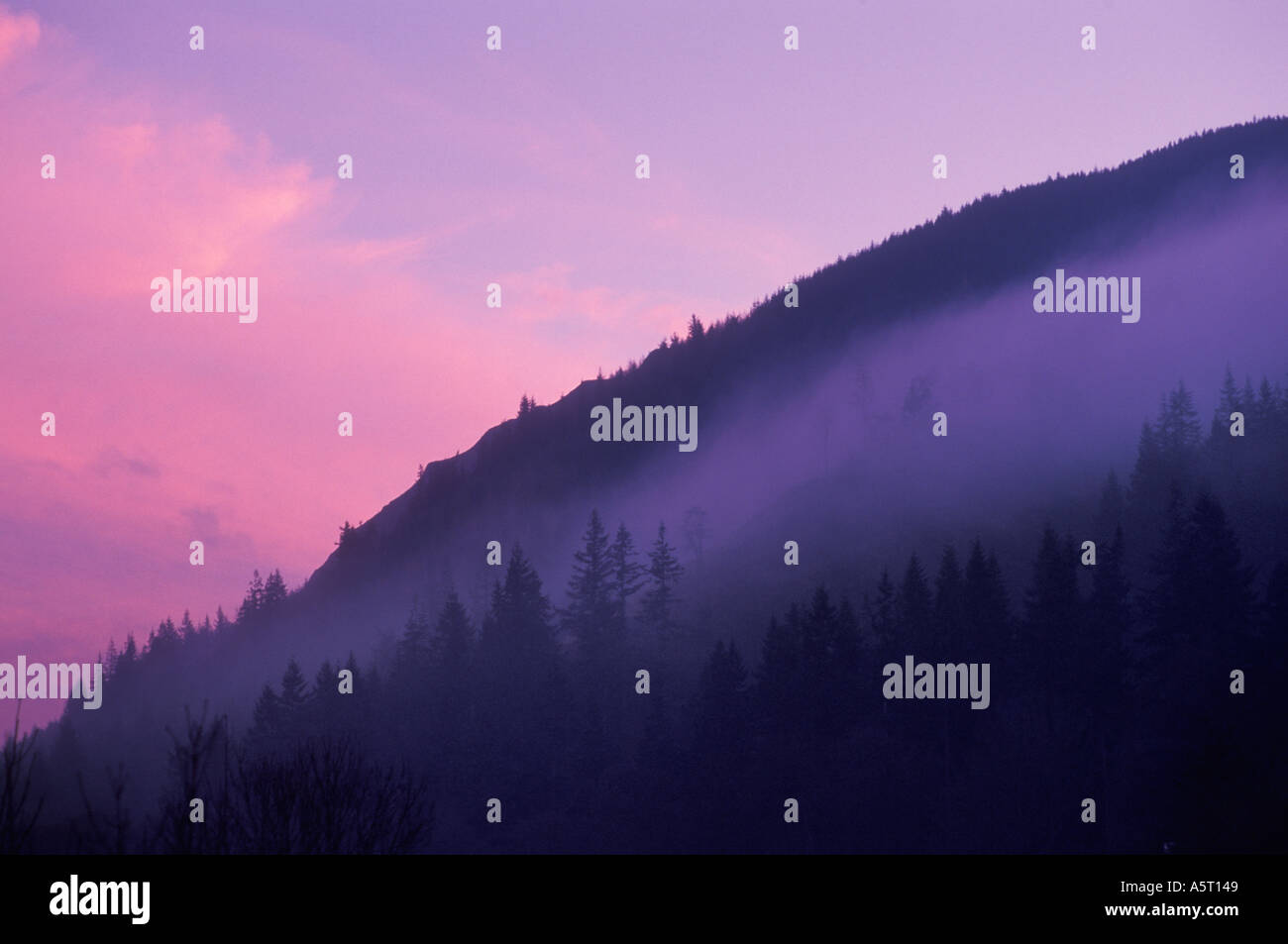 0100 0091 1106 hi-res stock photography and images - Alamy