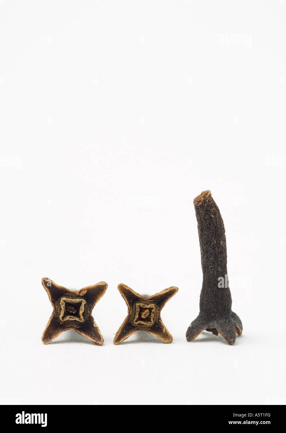 Three cloves, one standing on end Stock Photo - Alamy