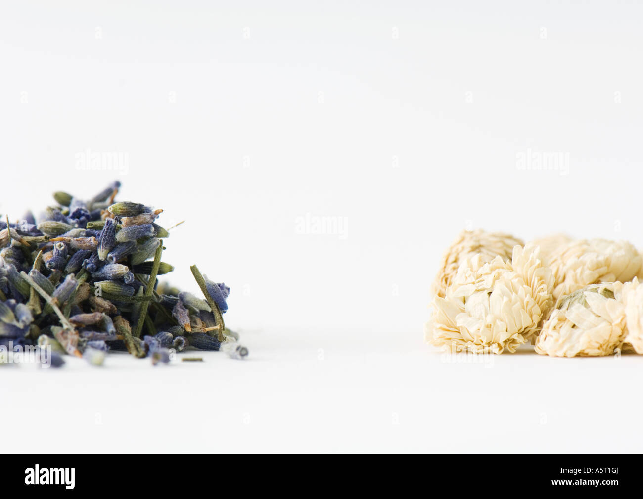 Lavender without flowers hi-res stock photography and images - Alamy