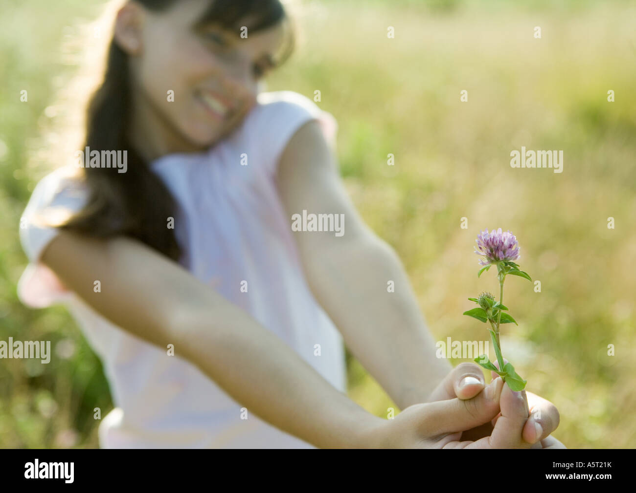 One hand offering flowers hi-res stock photography and images - Alamy