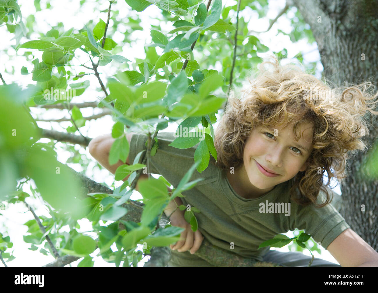Boy in tree, smiling at camera Stock Photo - Alamy