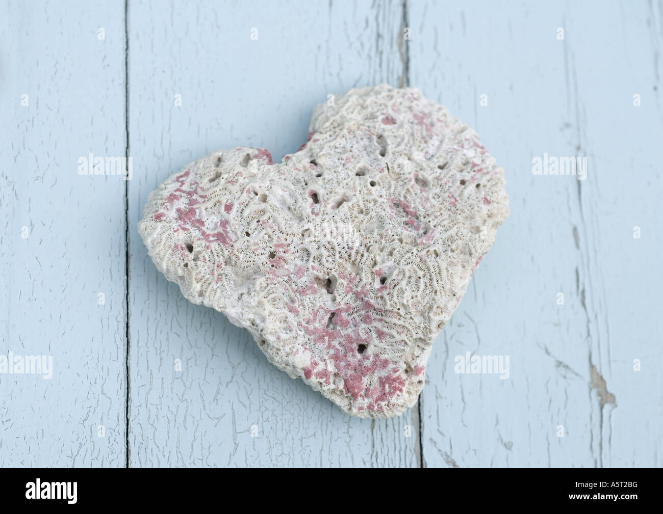 Rotten heart hi-res stock photography and images - Alamy
