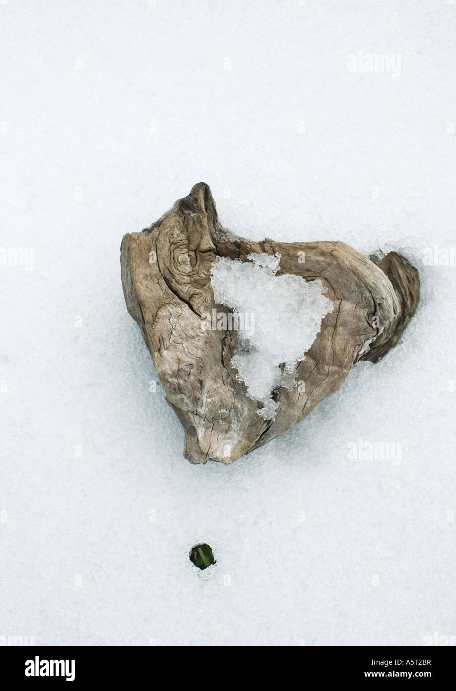 Chunk of wood on snowy background Stock Photo - Alamy