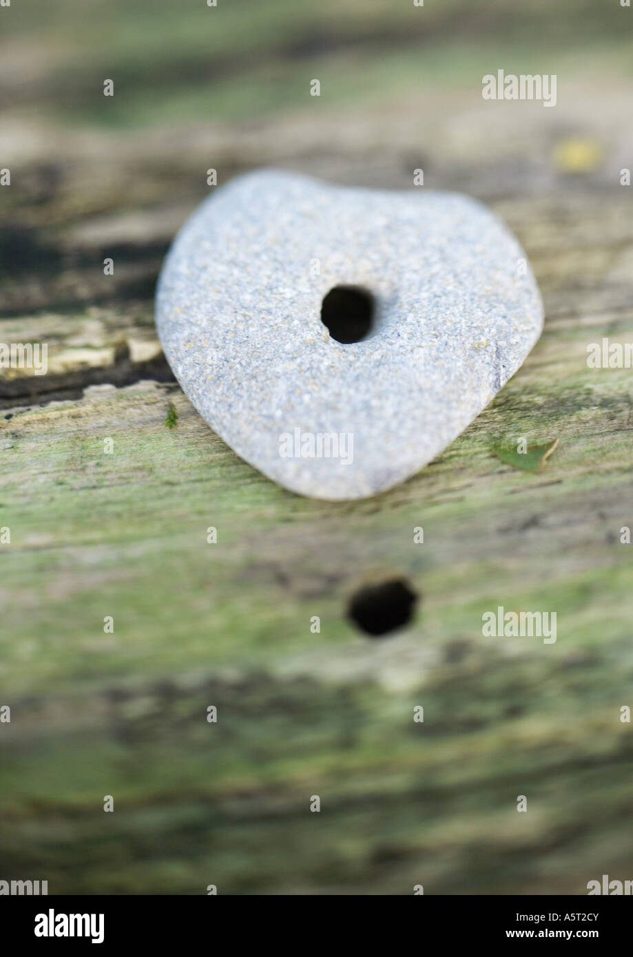 Stone with hole in it on mossy wood, extreme close-up Stock Photo - Alamy