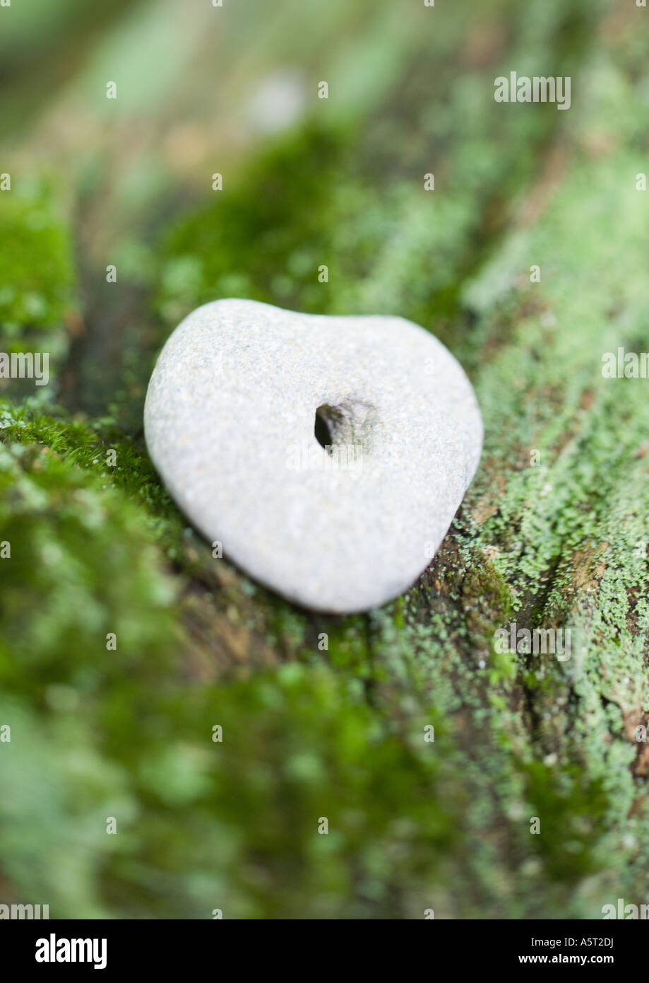 Extreme close up pebbles day hi-res stock photography and images - Alamy